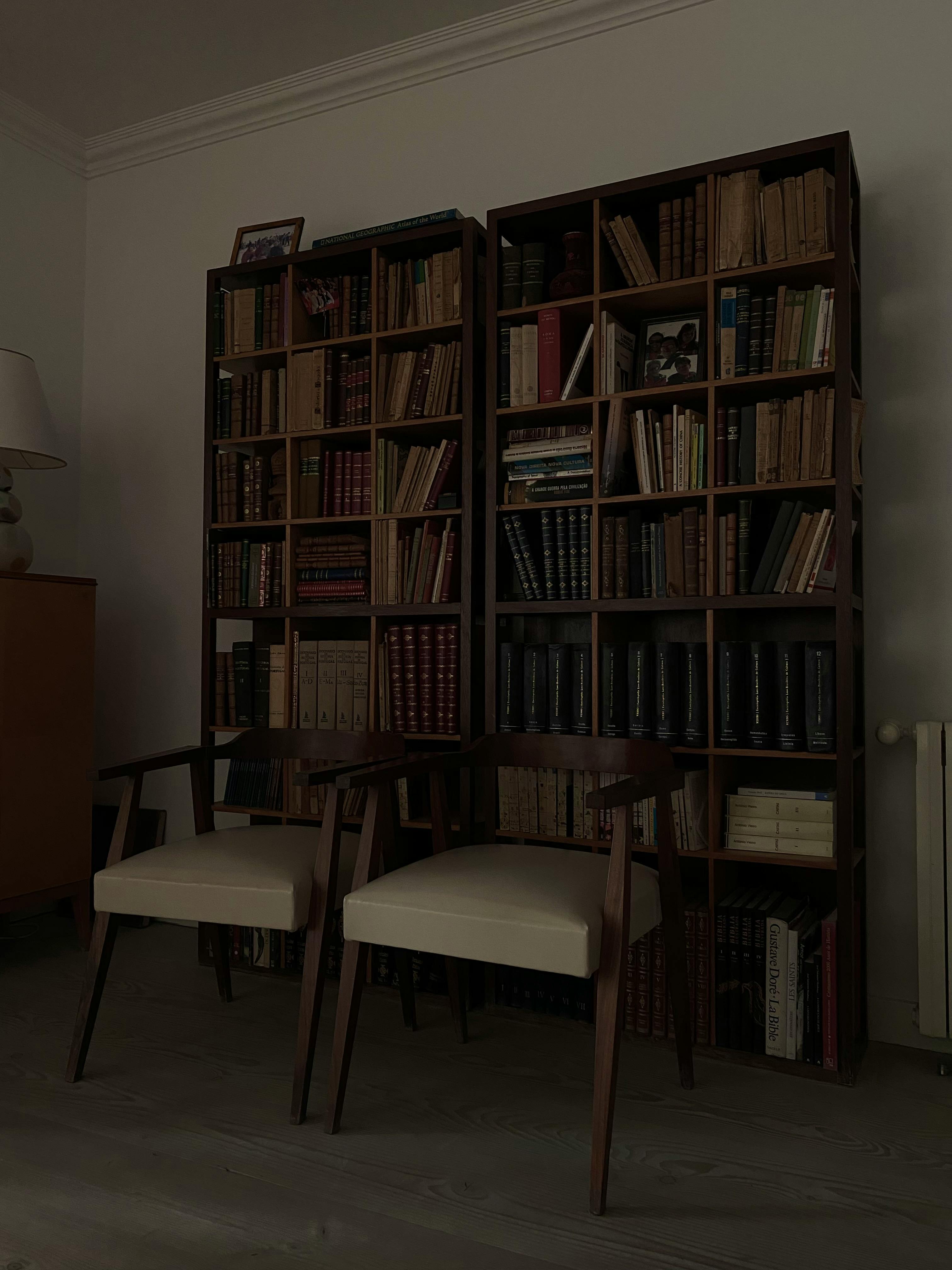 Two Chairs and Bookshelves · Free Stock Photo