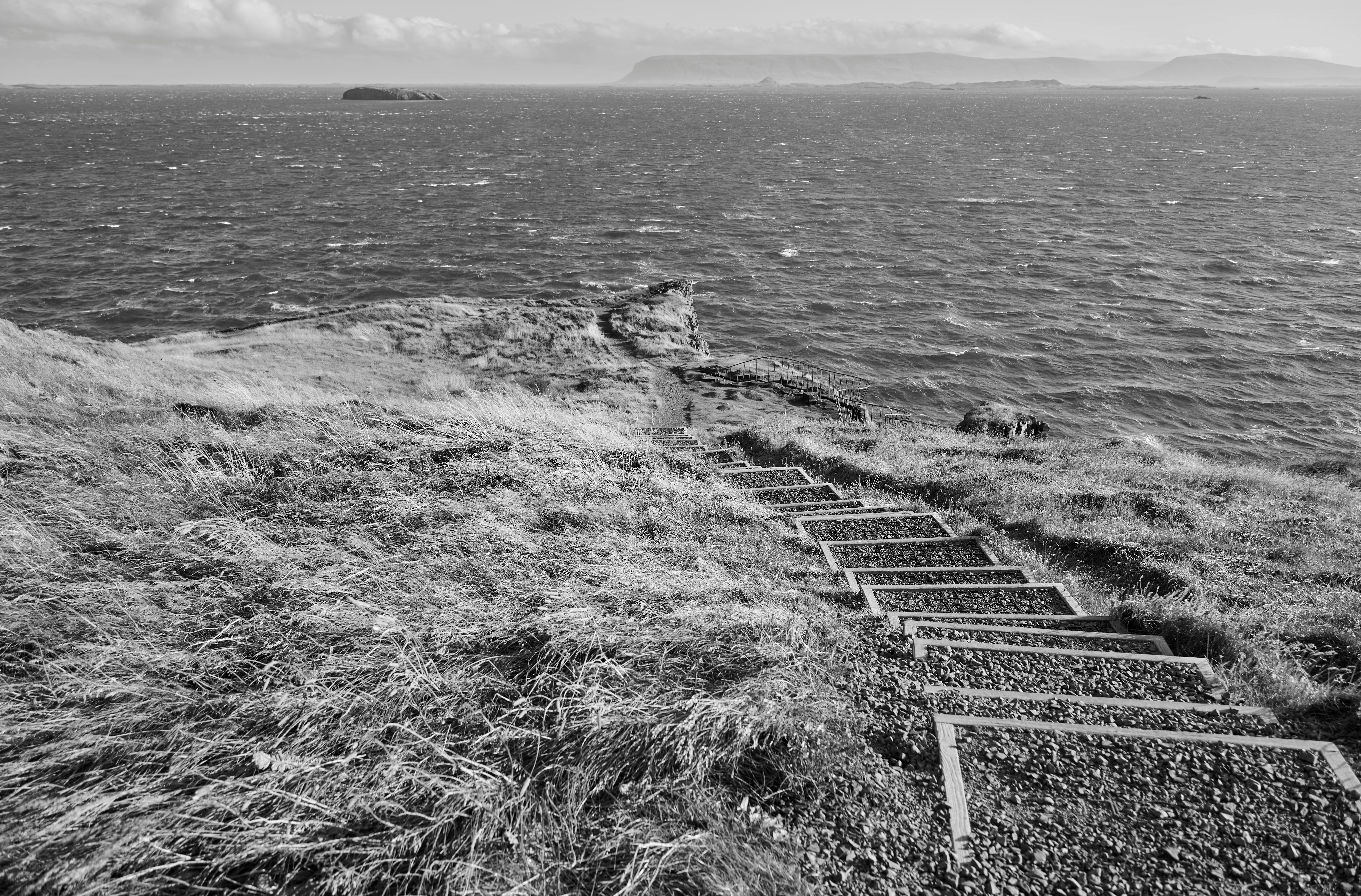 Steps in Seaside in Black and White · Free Stock Photo