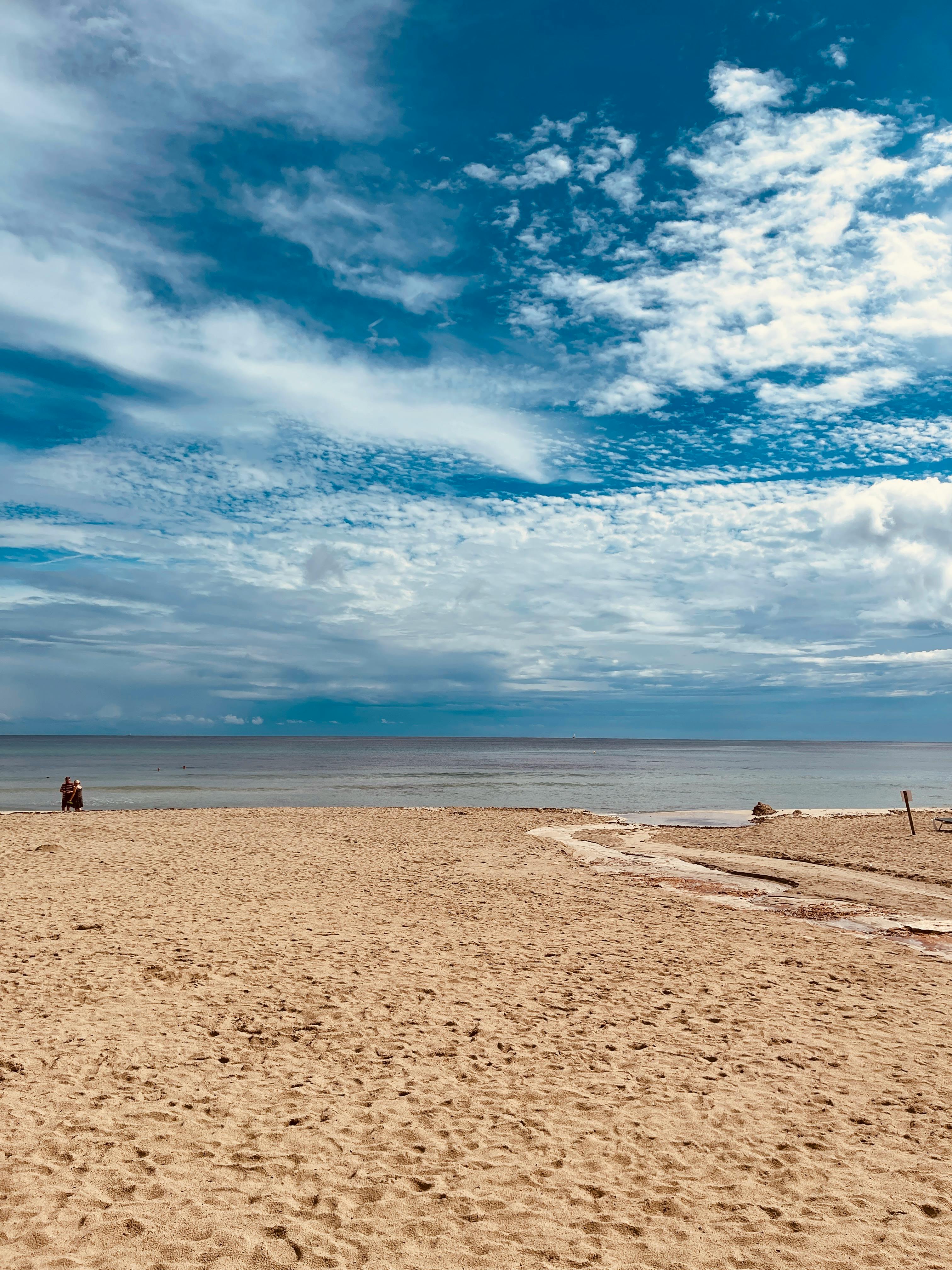 Luis Ribeiro - 사진