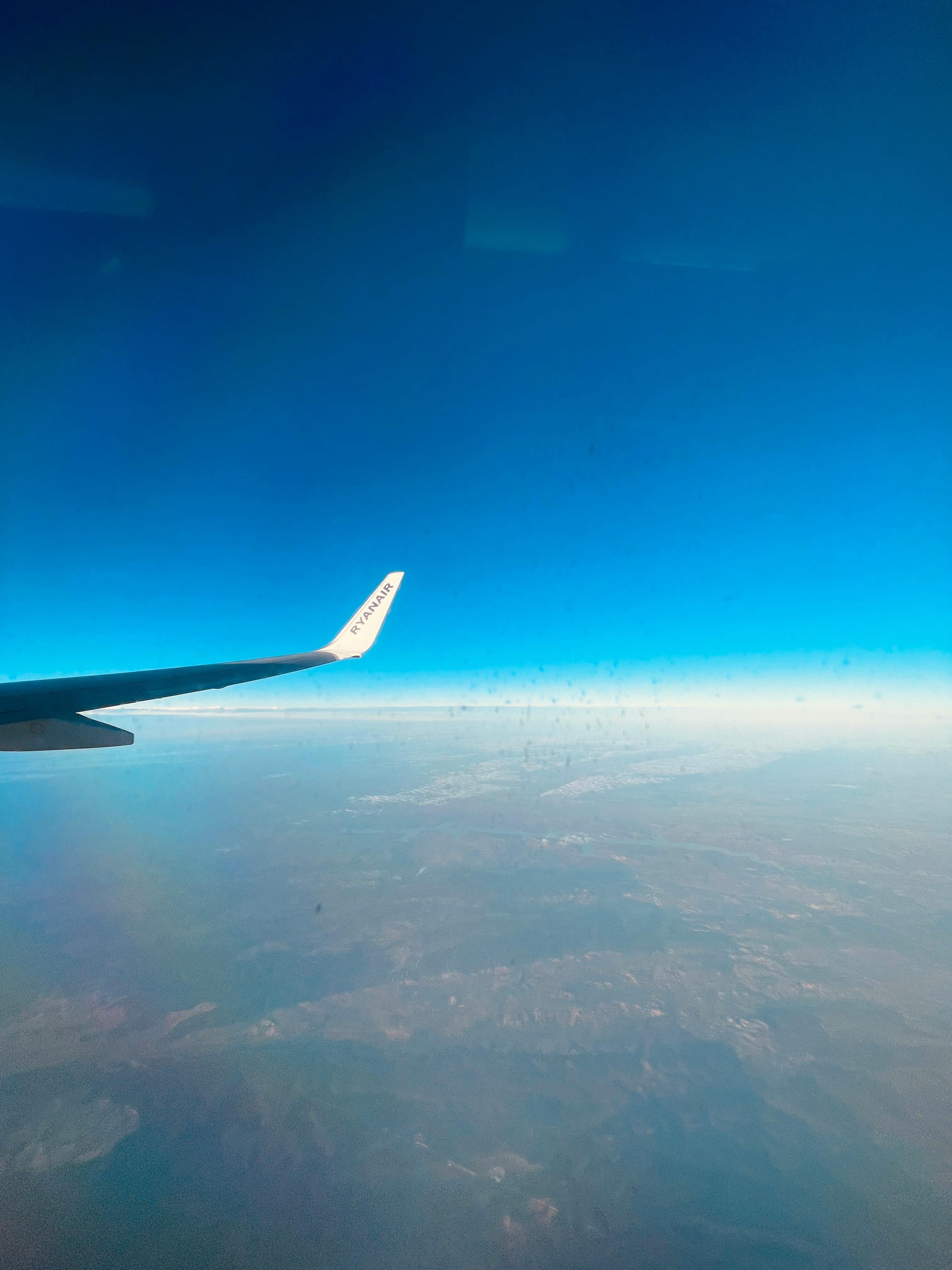 Luis Ribeiro - 사진