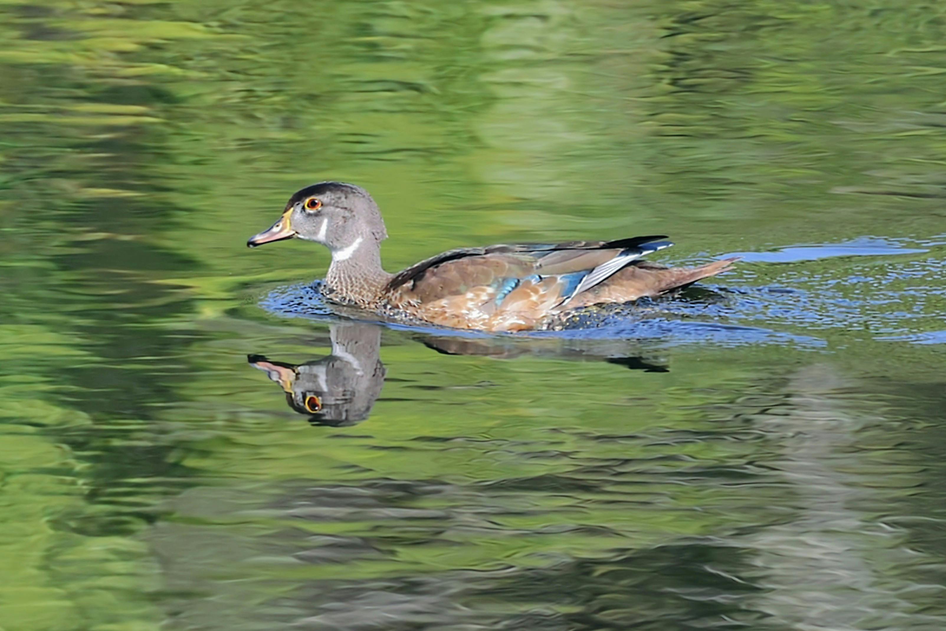 teyi 徐 - Photography