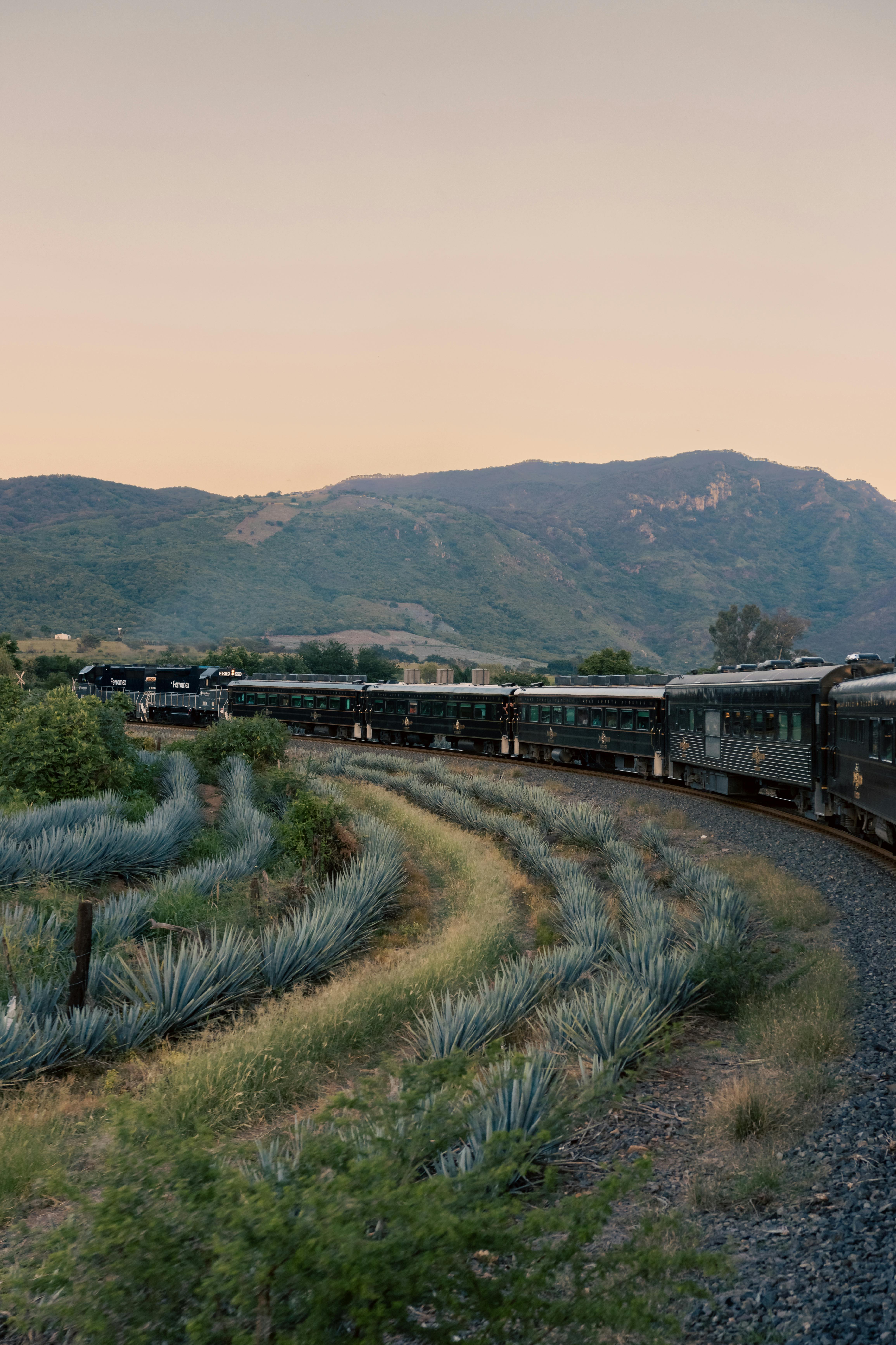 Train in Countryside at Sunset · Free Stock Photo