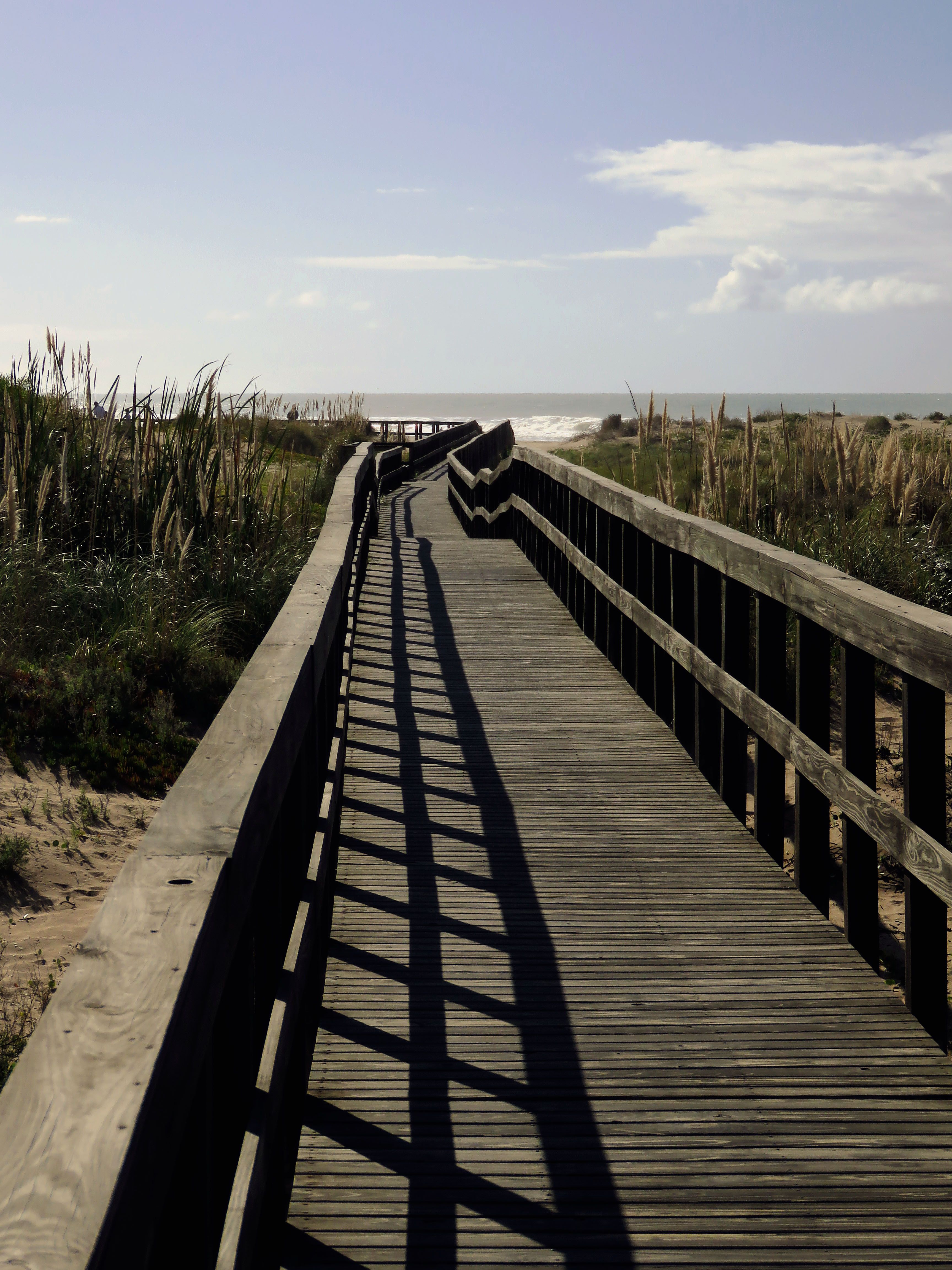 Boardwalks Photos, Download The BEST Free Boardwalks Stock Photos & HD ...