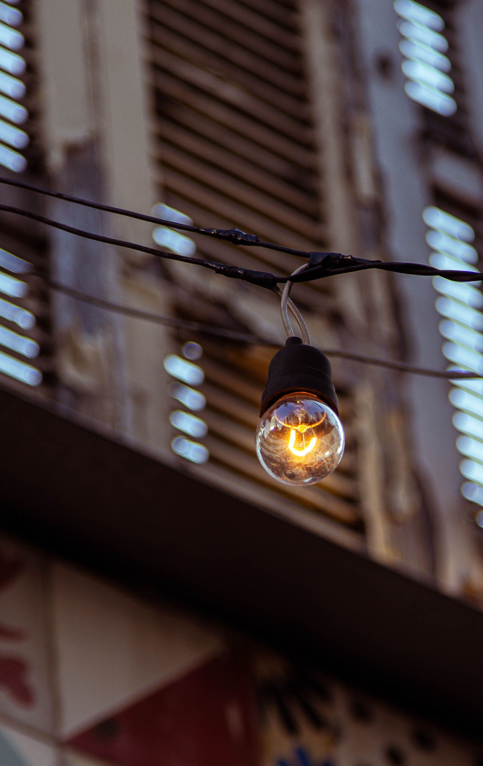 Bulb Png Photos, Download The BEST Free Bulb Png Stock Photos & HD Images