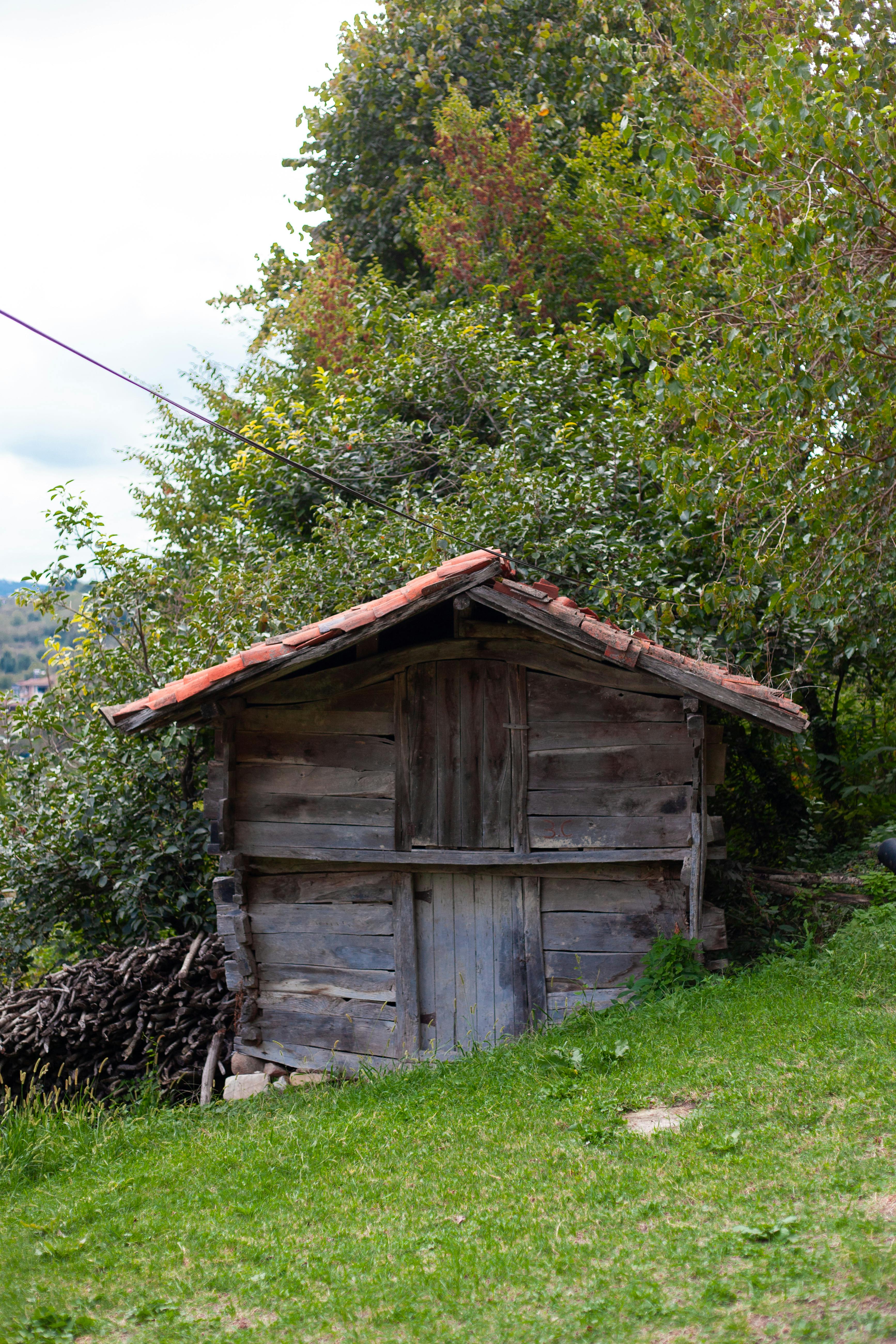 Brown Wooden Shed Beside Trees · Free Stock Photo