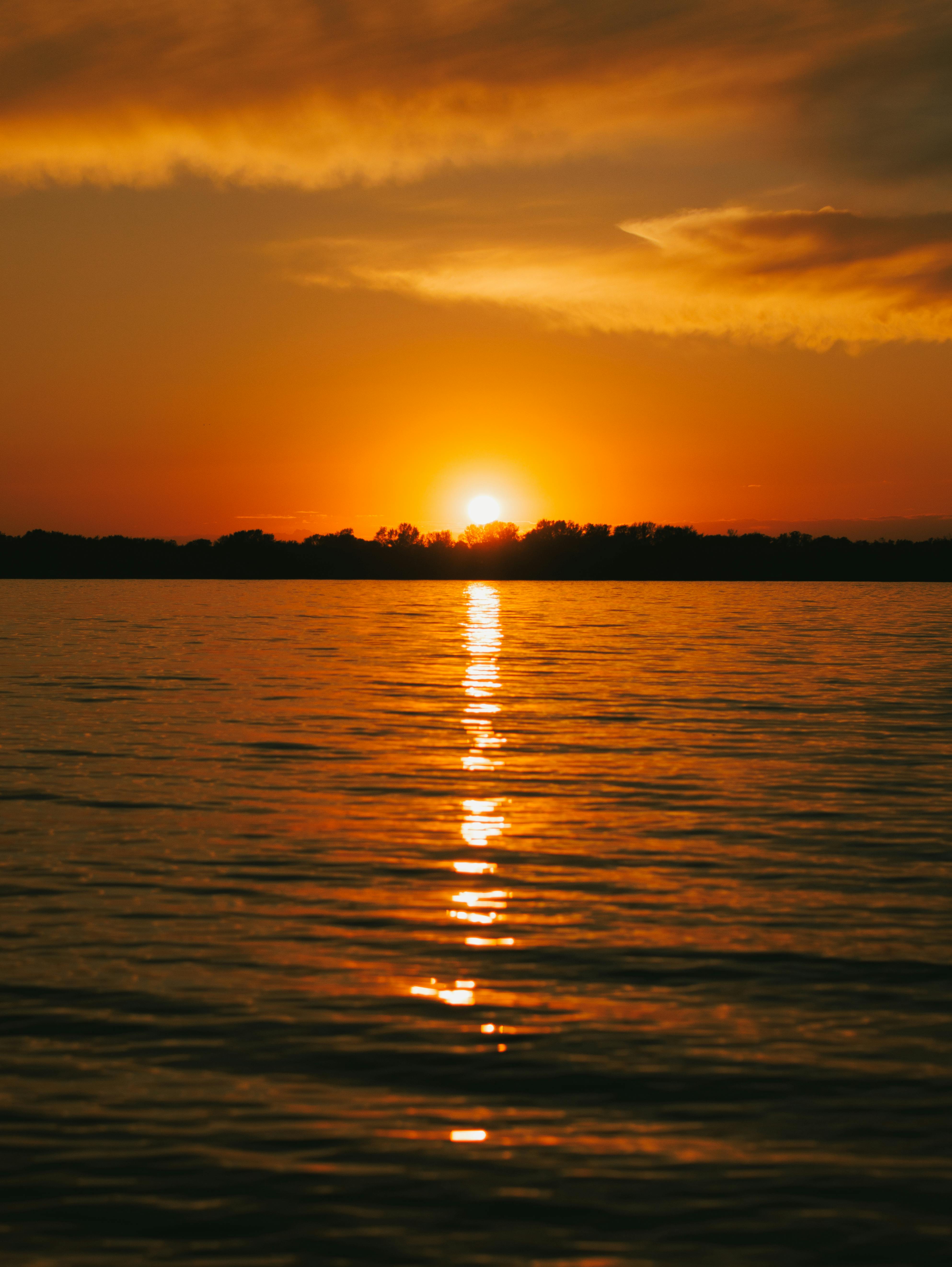 Lone Tree in a Lake under a Dramatic Sky · Free Stock Photo