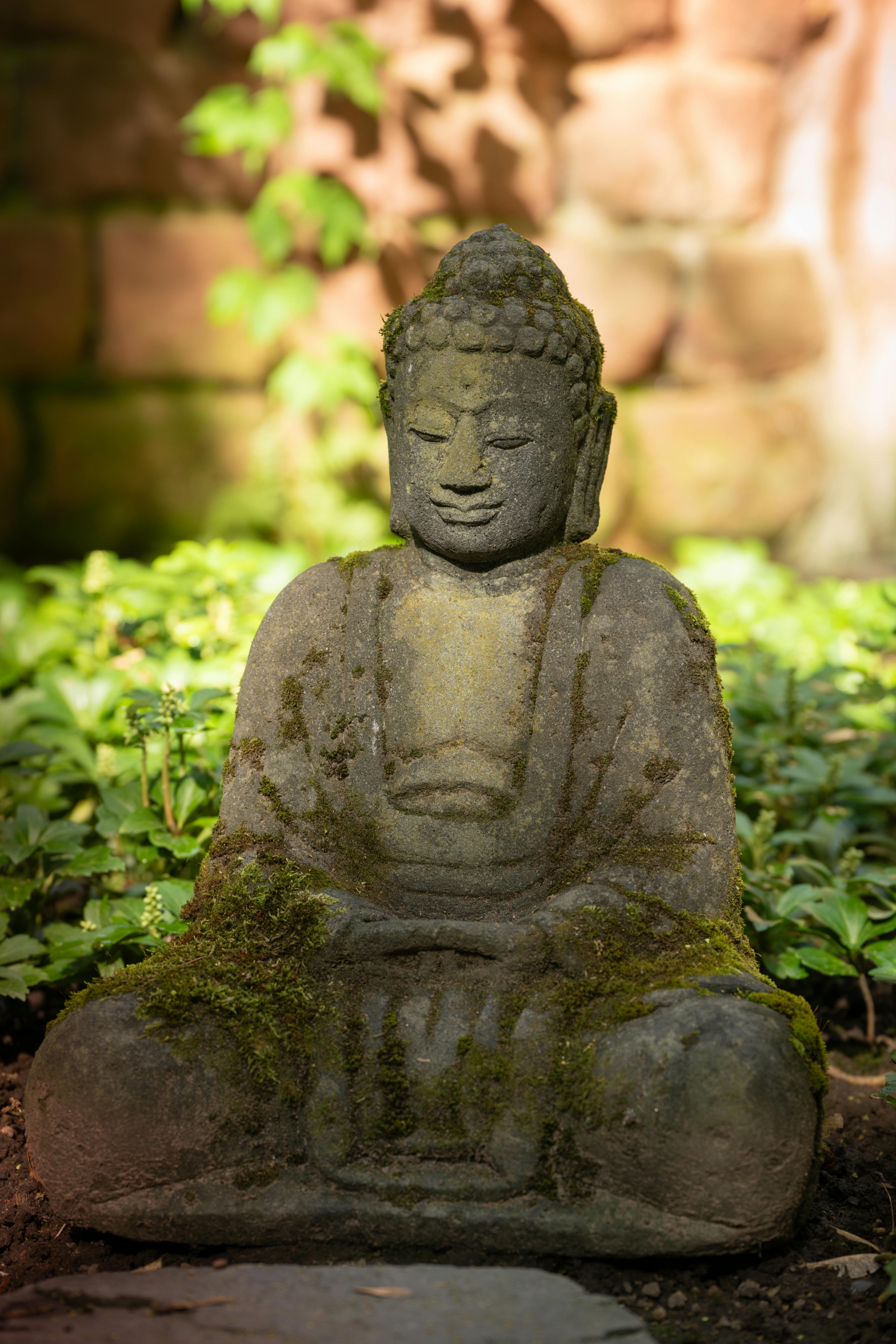 Buddha Figure in Window Display · Free Stock Photo
