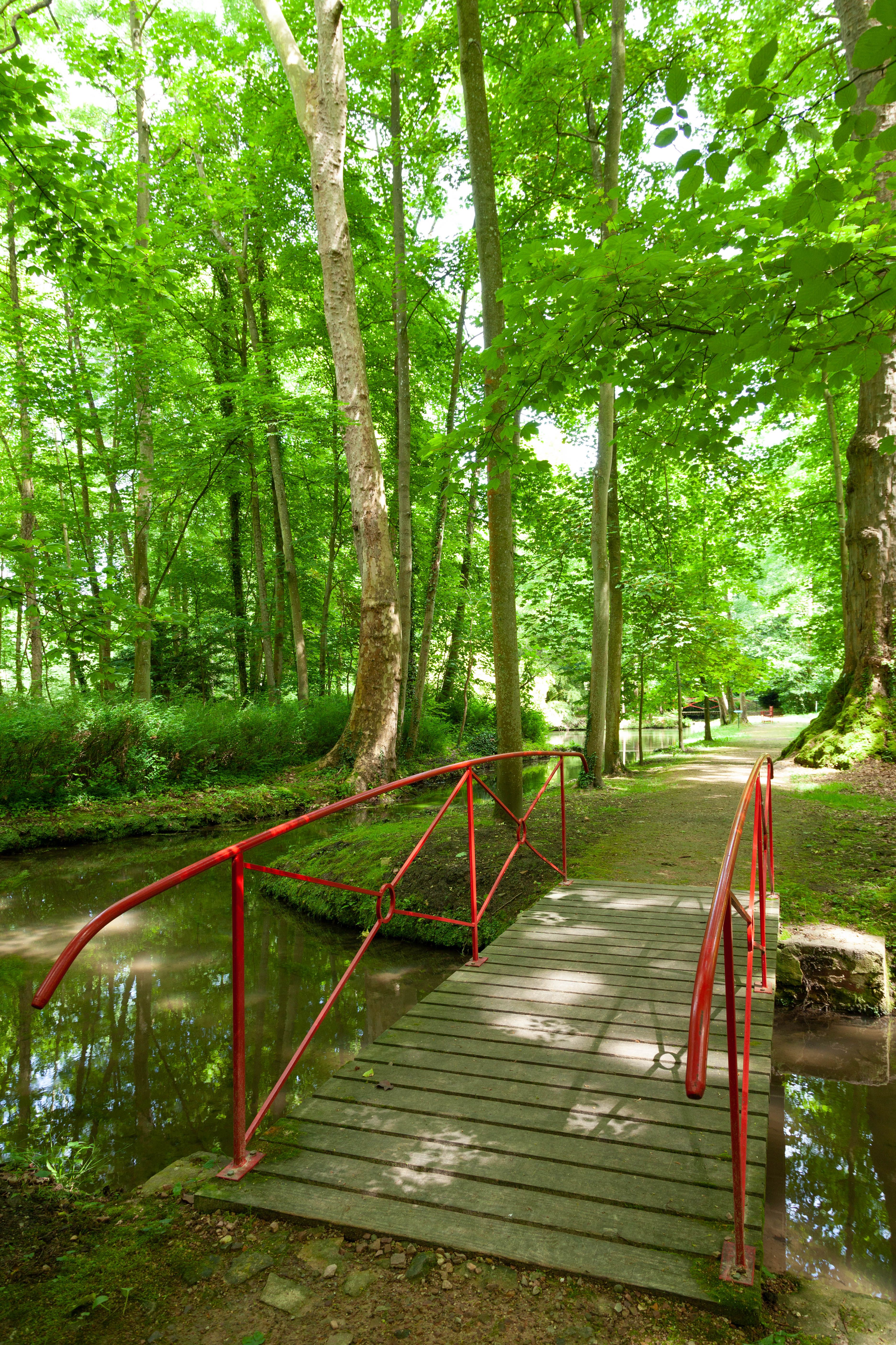 Footbridge in Park · Free Stock Photo