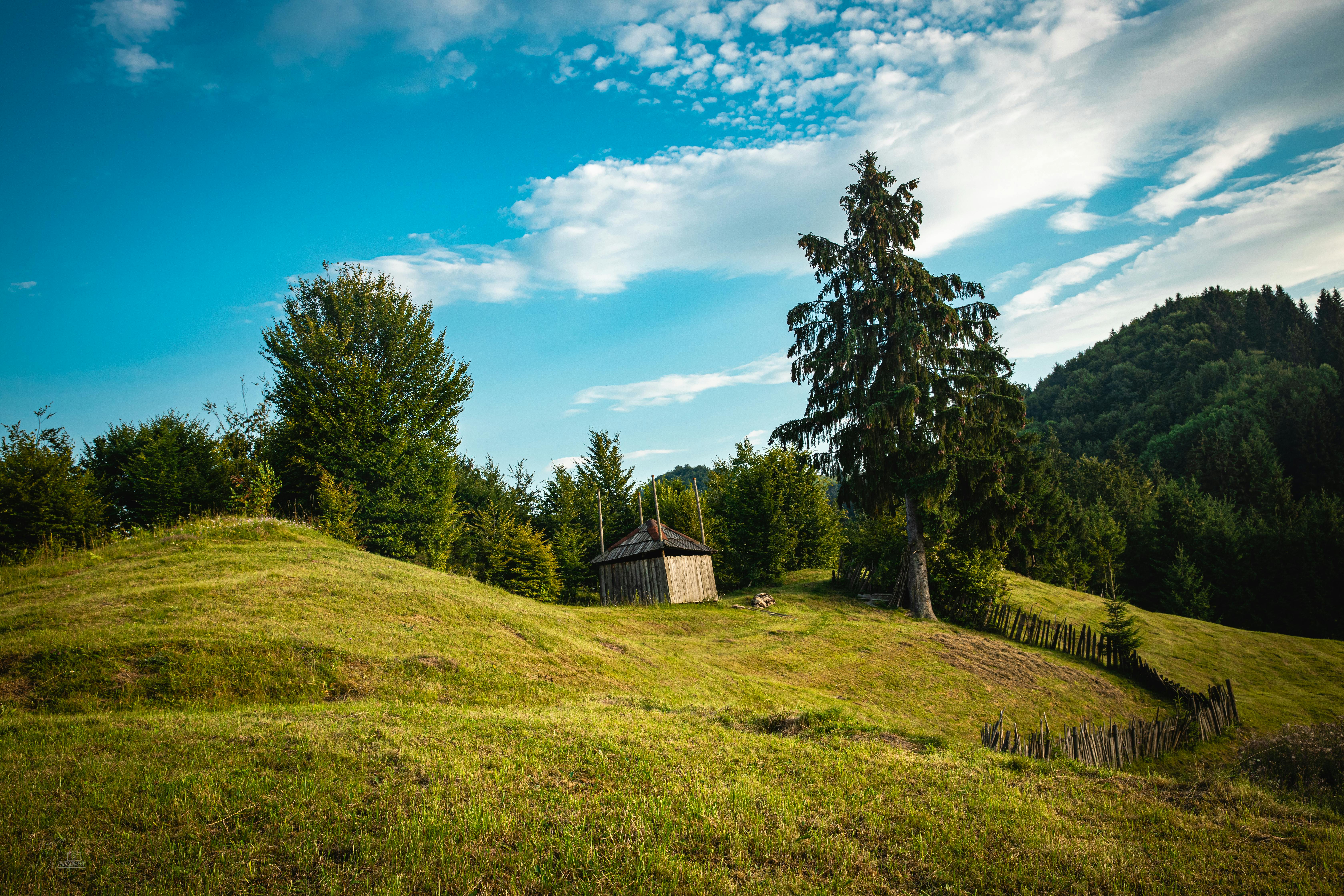 A Hut on a Hill · Free Stock Photo