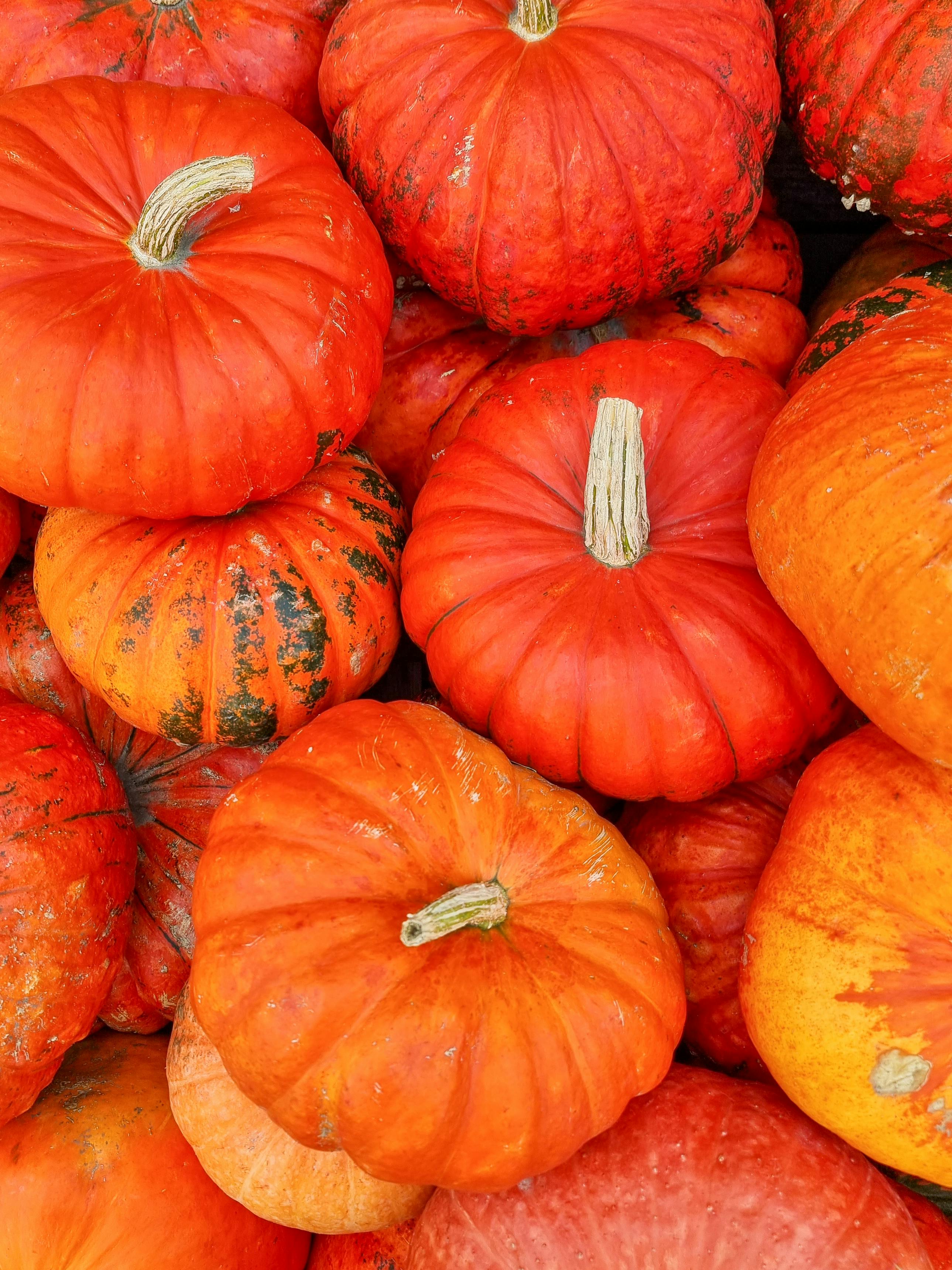 Pumpkins on Wooden Surface · Free Stock Photo
