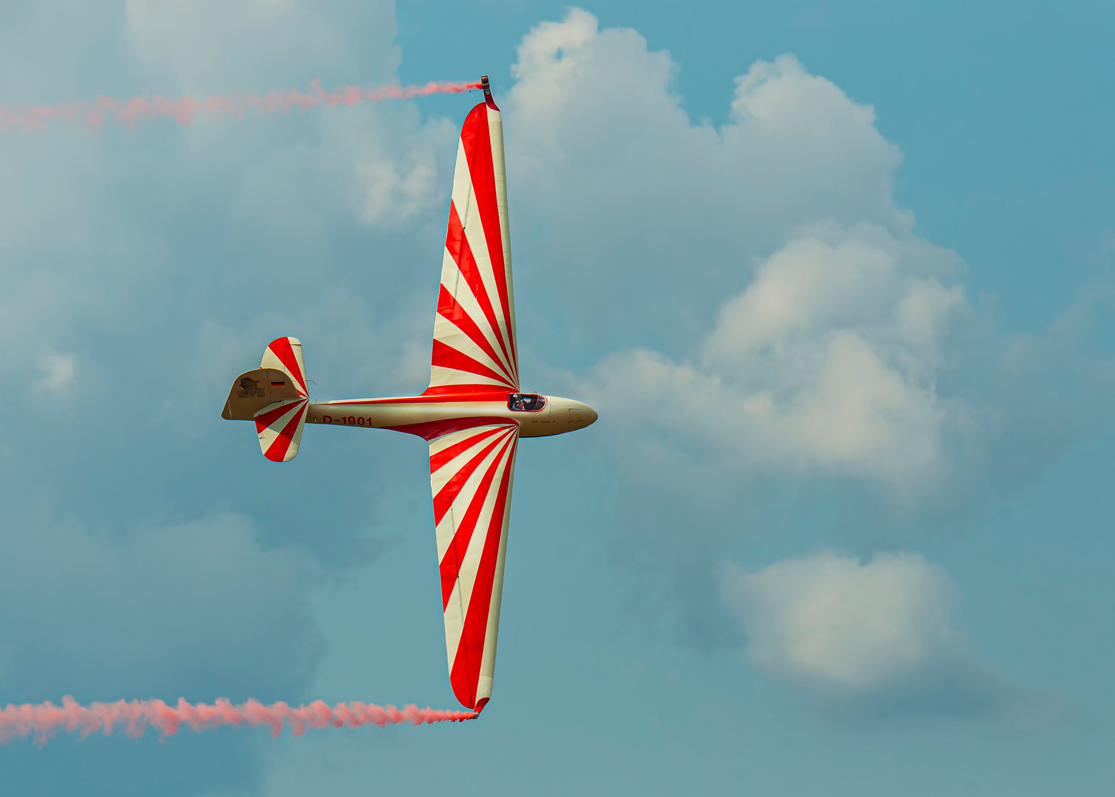 View of a Flying DFS Habicht Aerobatic Sailplane · Free Stock Photo