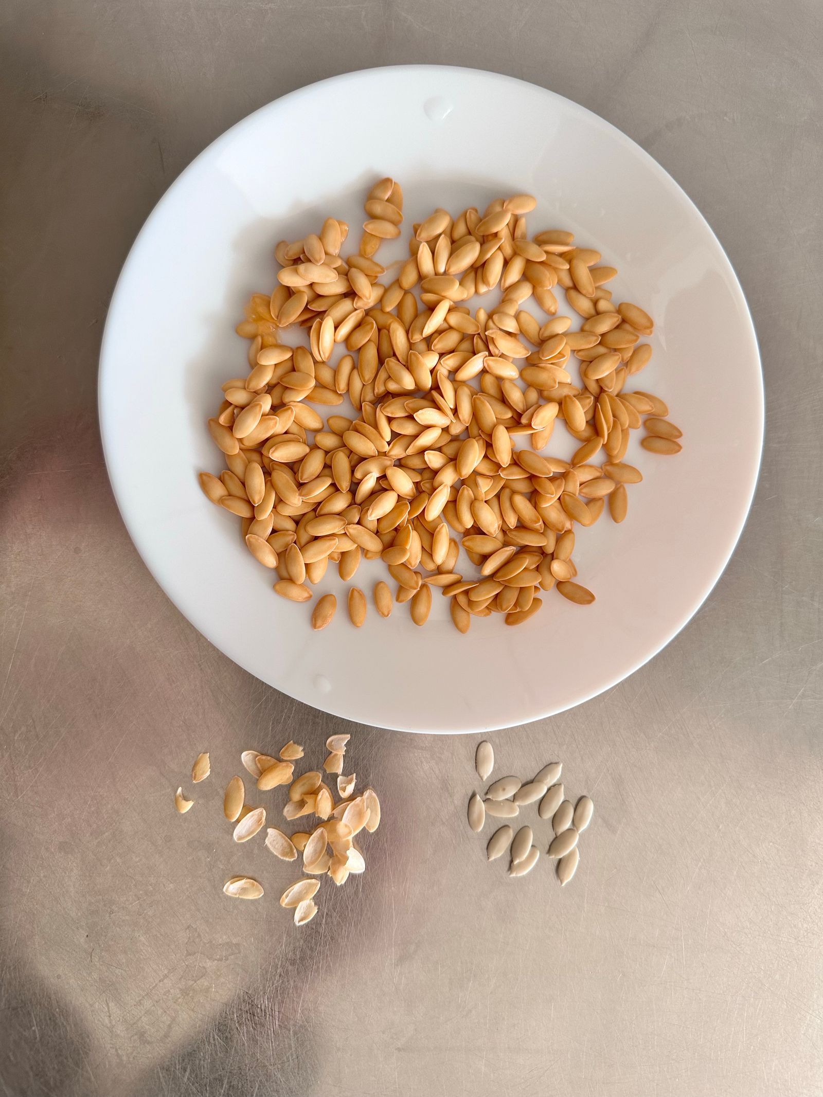 Seeds Photos, Download The BEST Free Seeds Stock Photos & HD Images