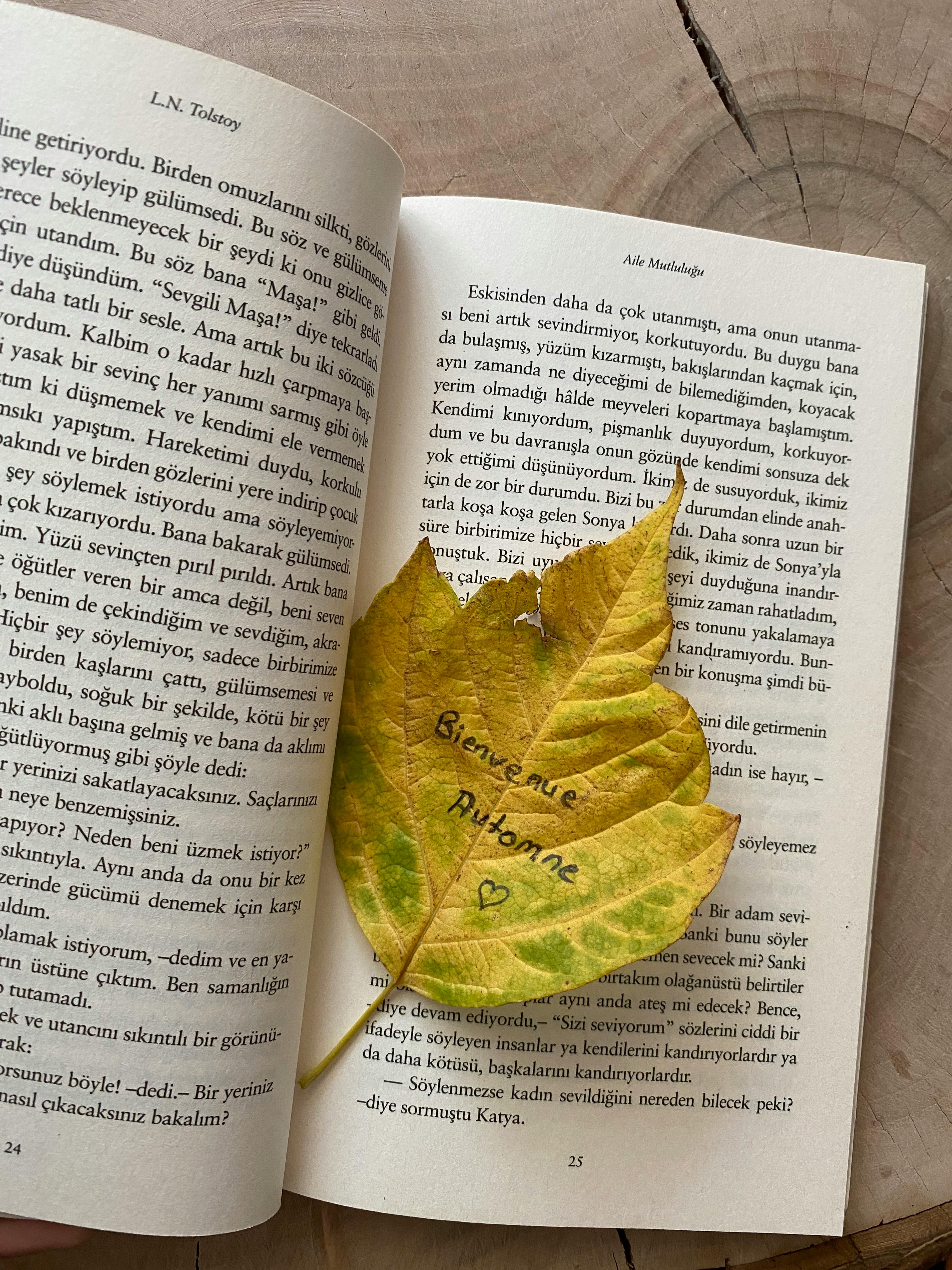 Red Leaf on Book · Free Stock Photo