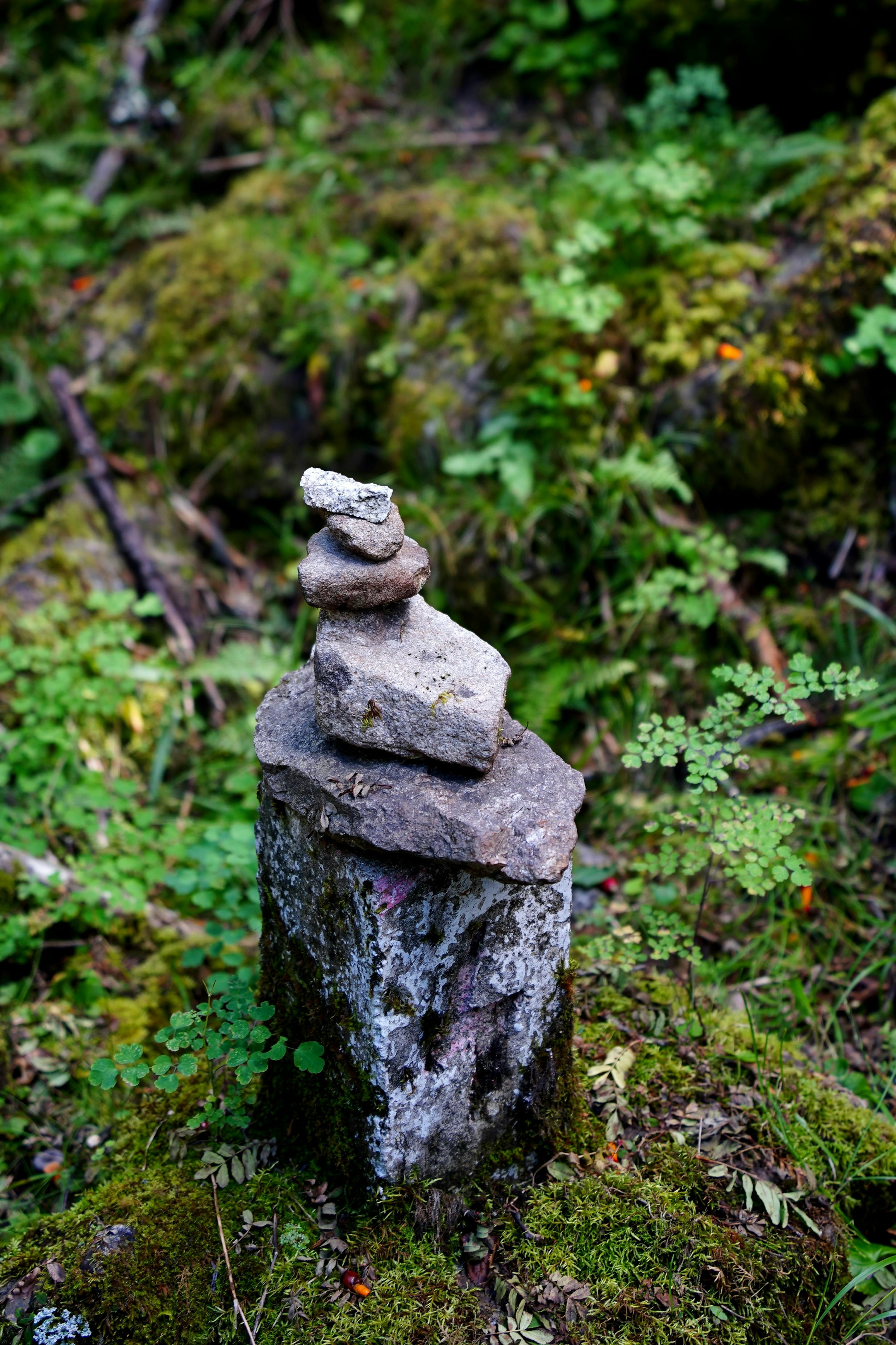 A Small Cairn on the Ground with Moss · Free Stock Photo