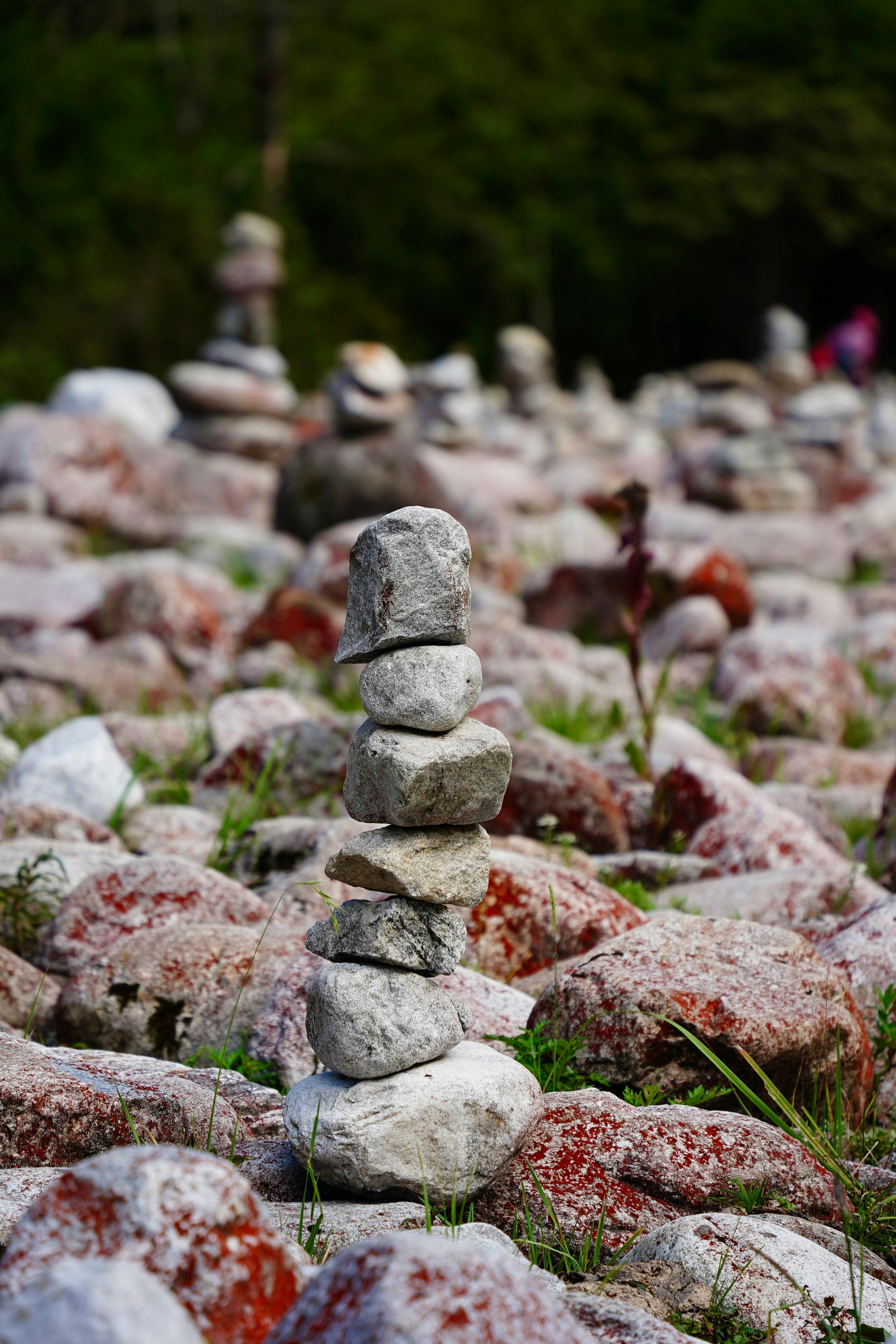 Stones on a Field · Free Stock Photo