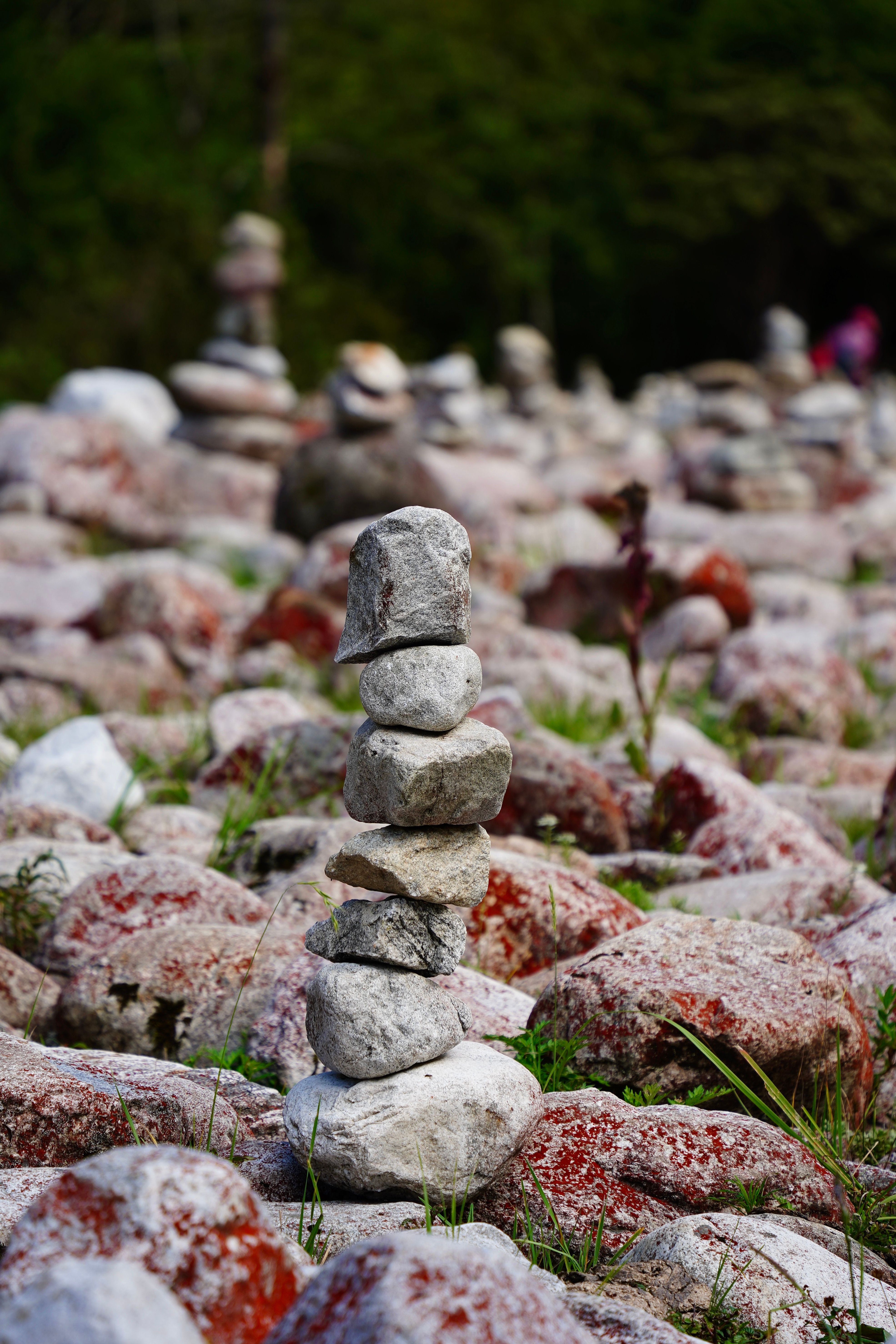 Crane Stones Photos, Download The BEST Free Crane Stones Stock Photos ...