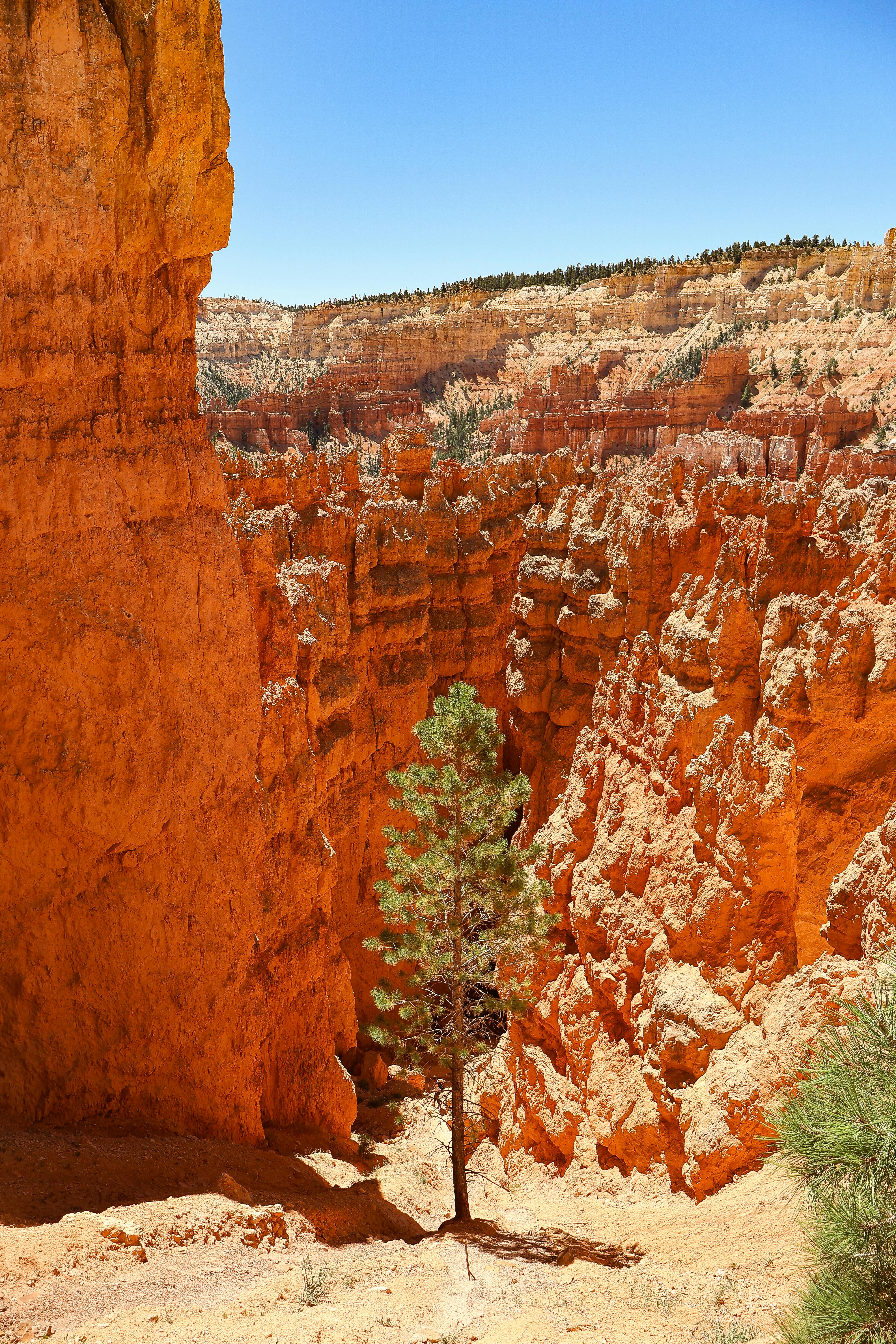 View of a Canyon · Free Stock Photo