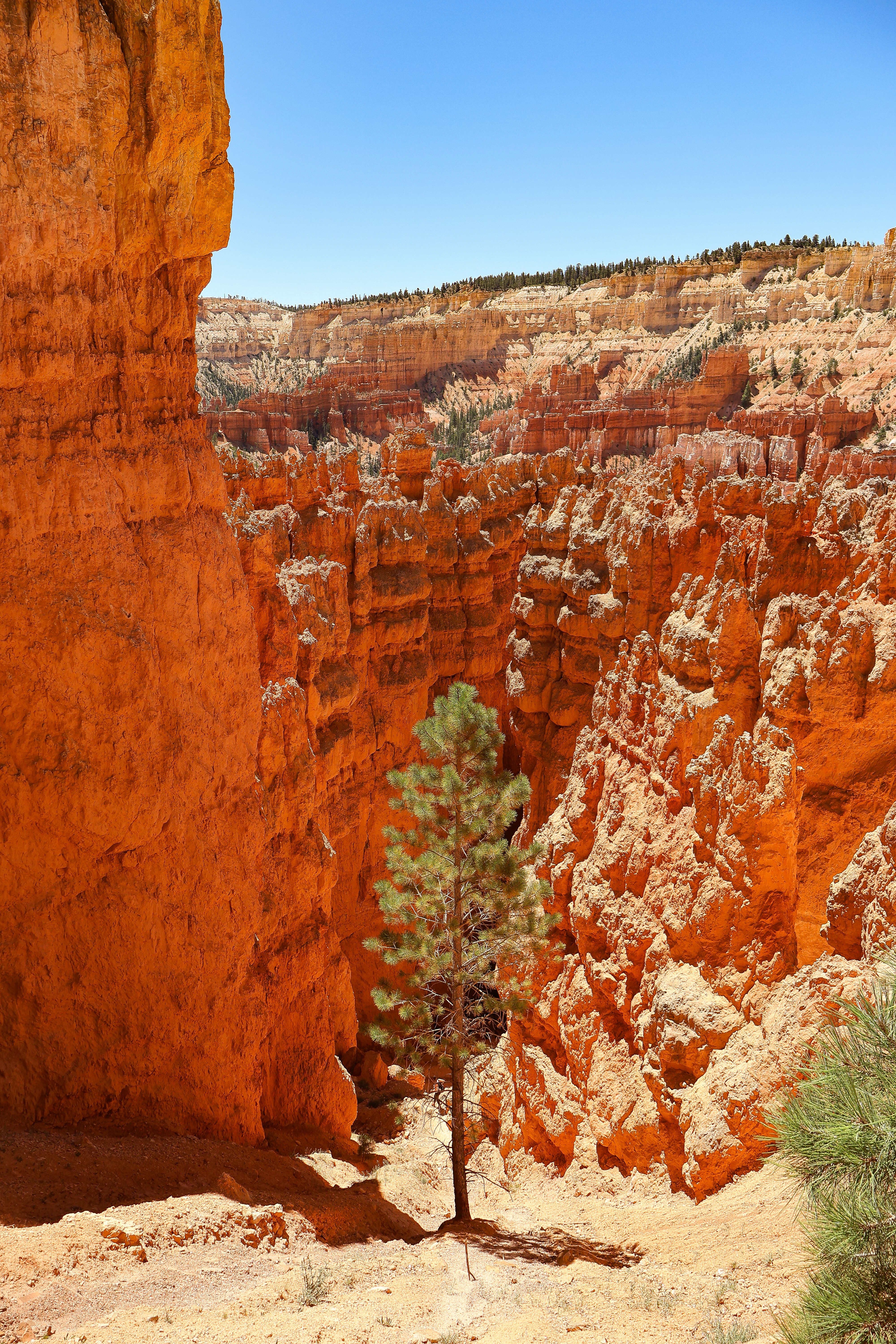 View of a Canyon · Free Stock Photo