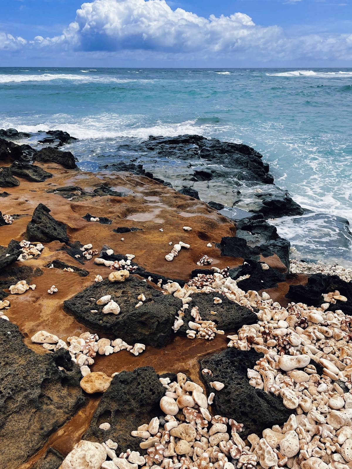 Choppy Sea Photos, Download The BEST Free Choppy Sea Stock Photos & HD ...