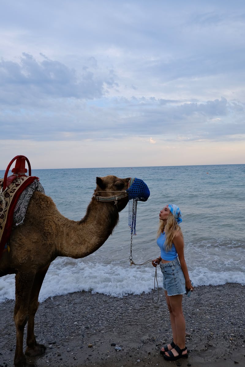 Camel Toe Pictures Of Women Entire Gallery Of Pictures & Videos #641