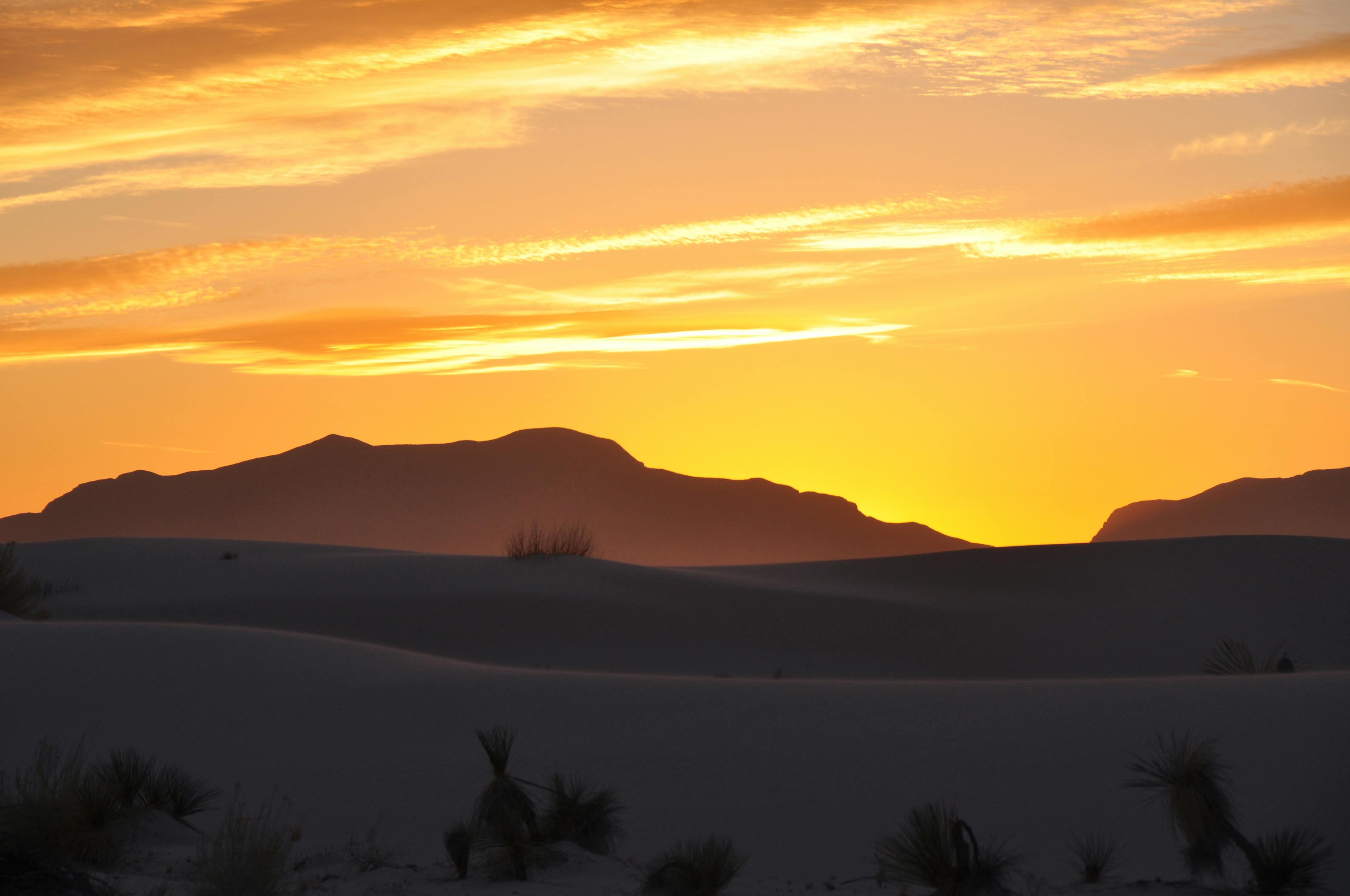 Desert at Sunset · Free Stock Photo