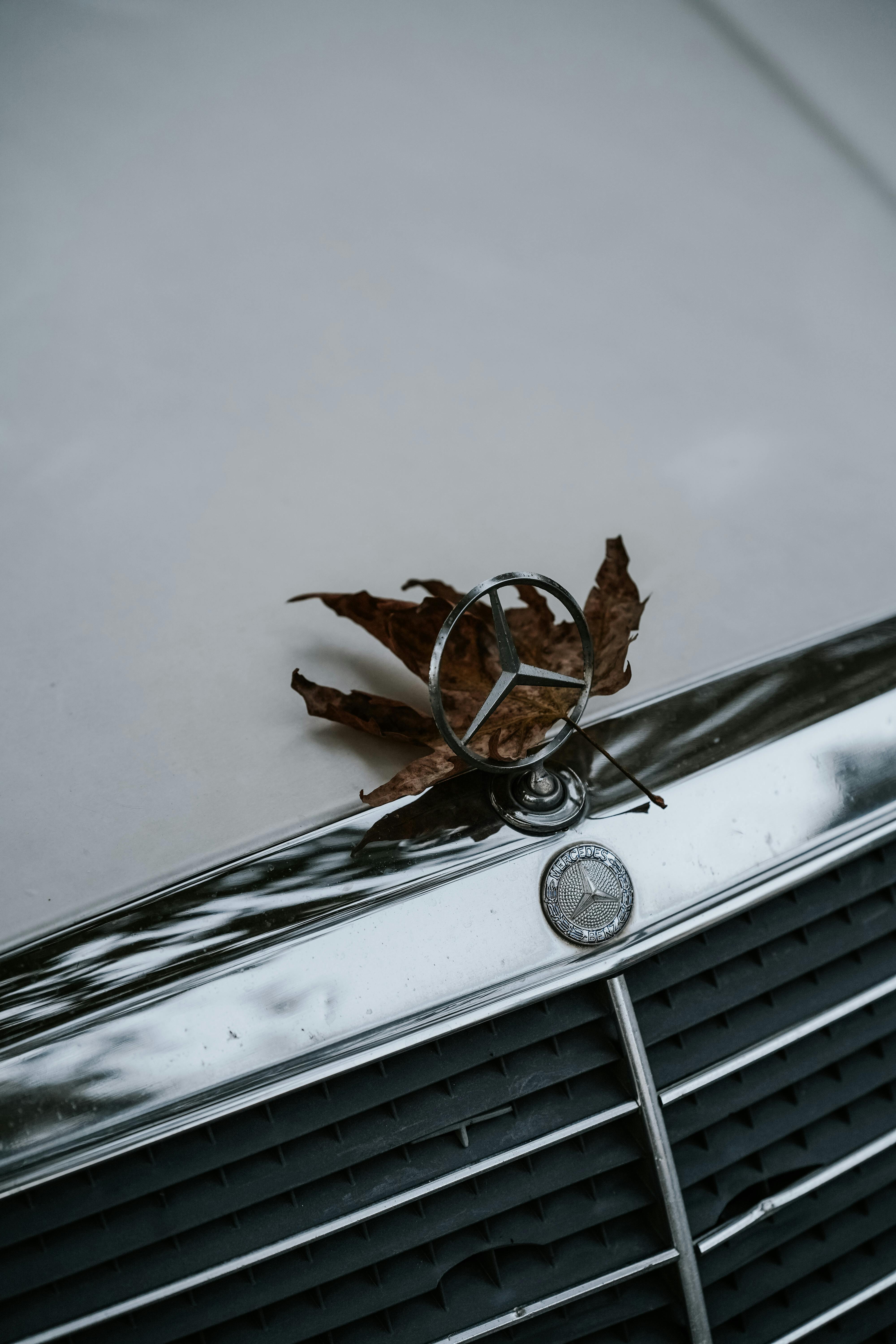 Autumnal Maple Leaf on Car Bonnet · Free Stock Photo