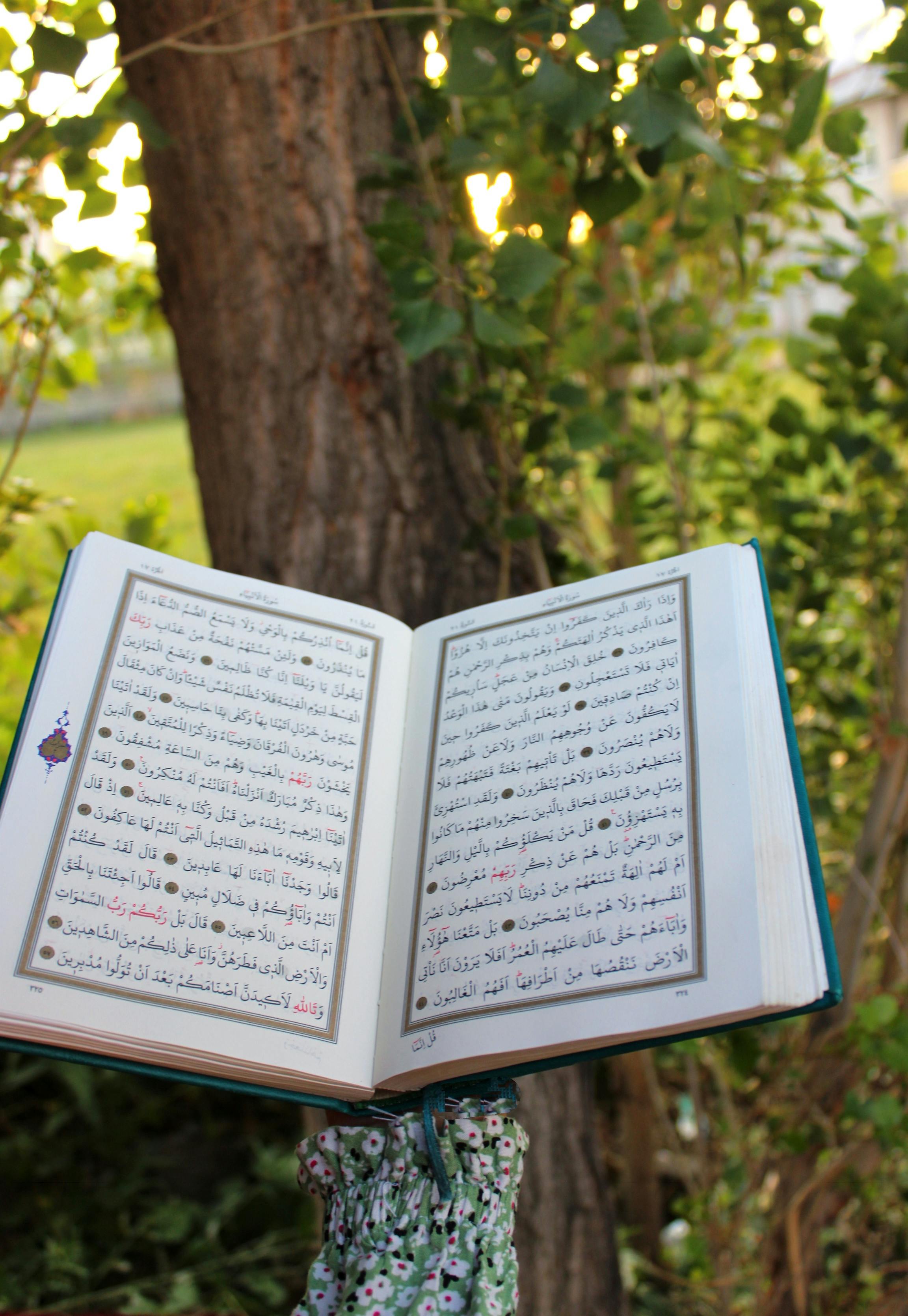 Open Koran Lying by the Tree · Free Stock Photo