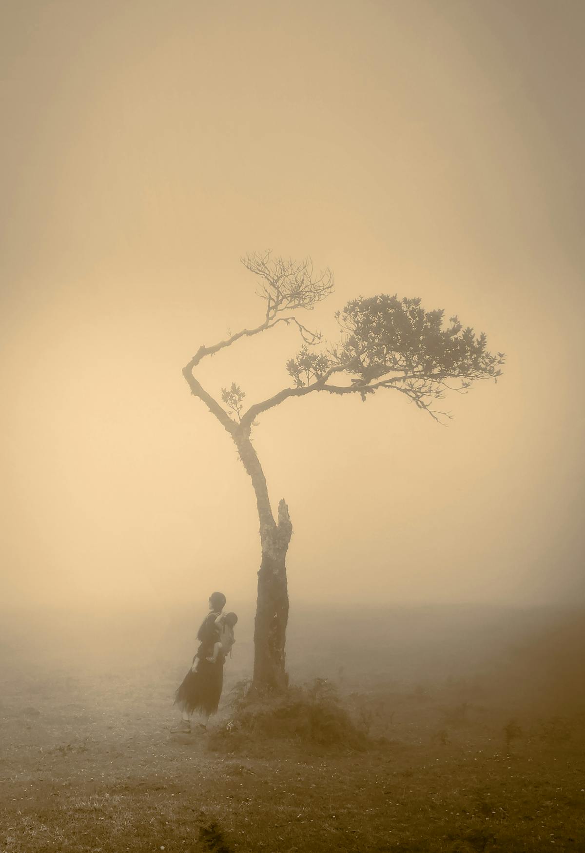 Single Mother Photos, Download The BEST Free Single Mother Stock Photos ...