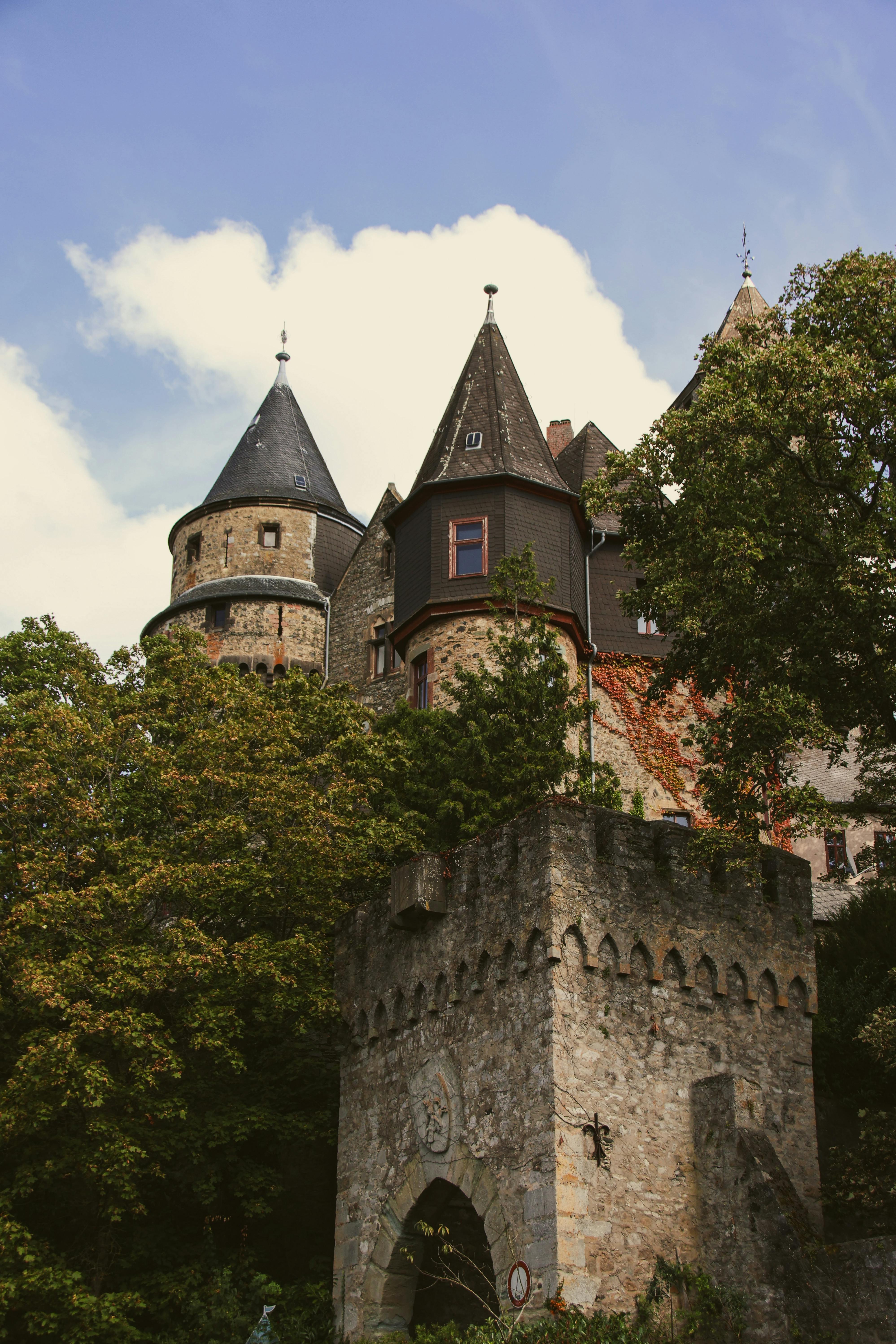 Ücretsiz açık hava, ağaçlar, almanya, almanya seyahati, avrupa, avrupa ...