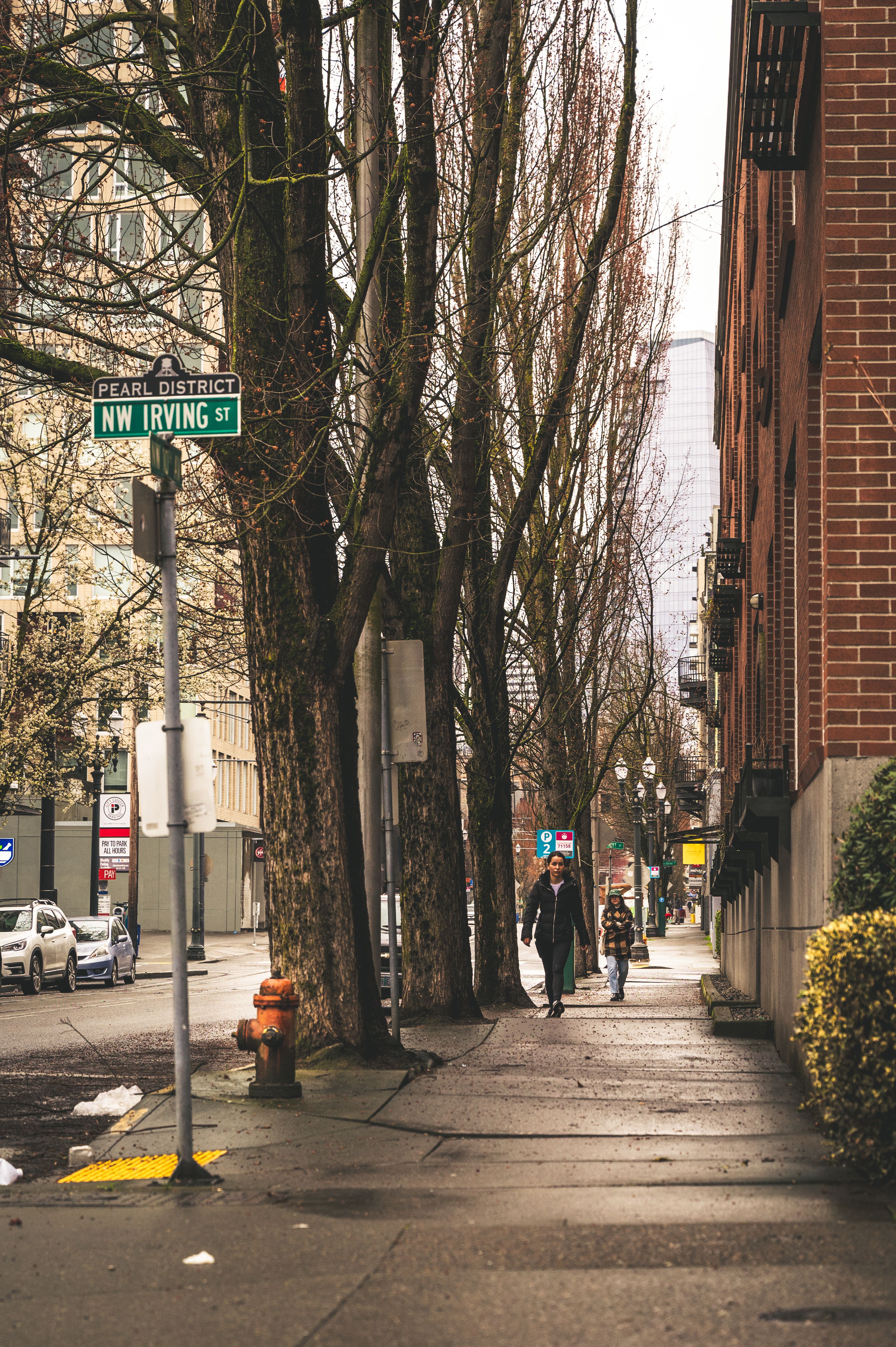 People Walking on a Street in Portlant, Oregon, USA · Free Stock Photo