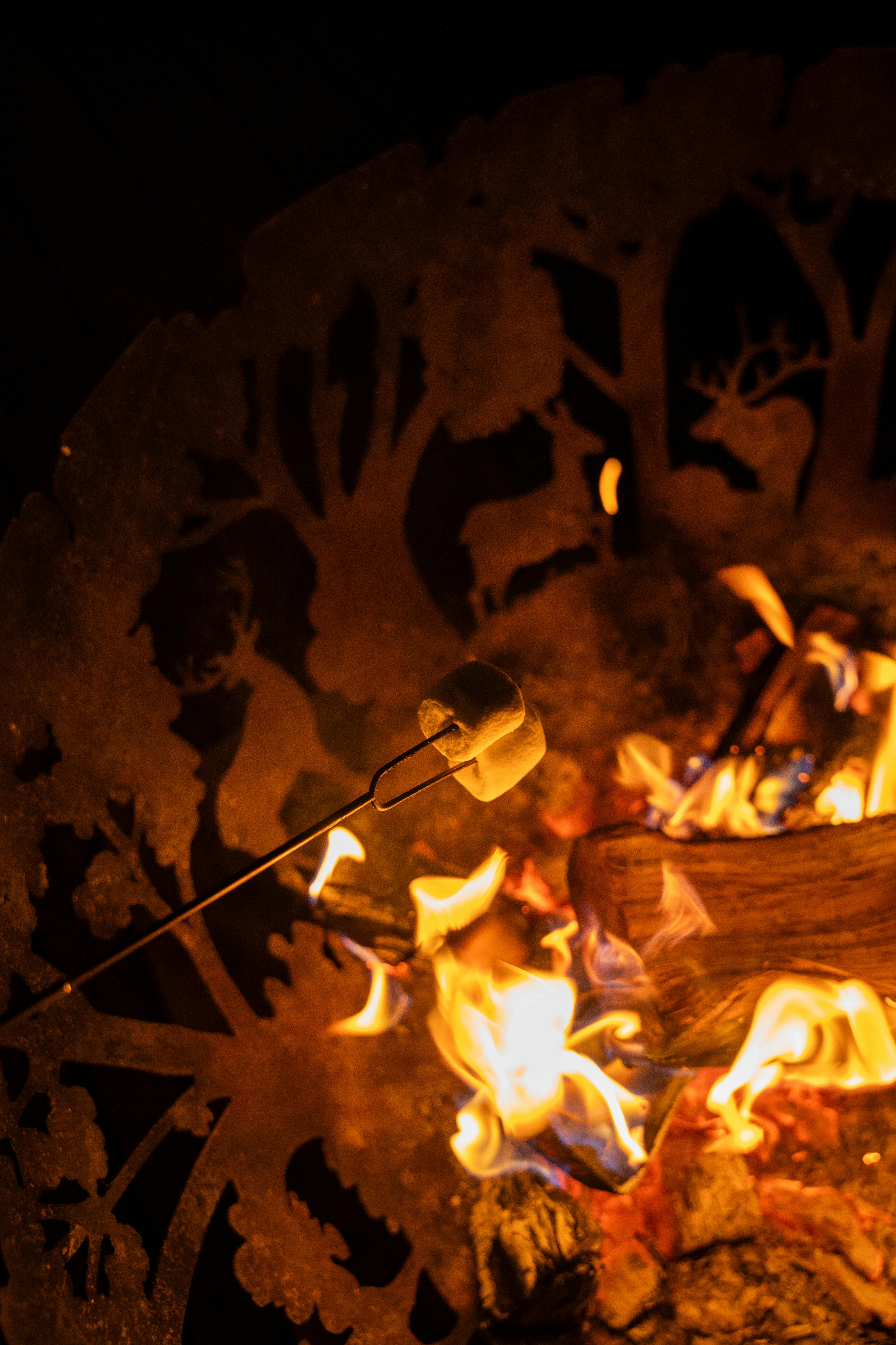 Marshmallows Burned in a Bonfire · Free Stock Photo