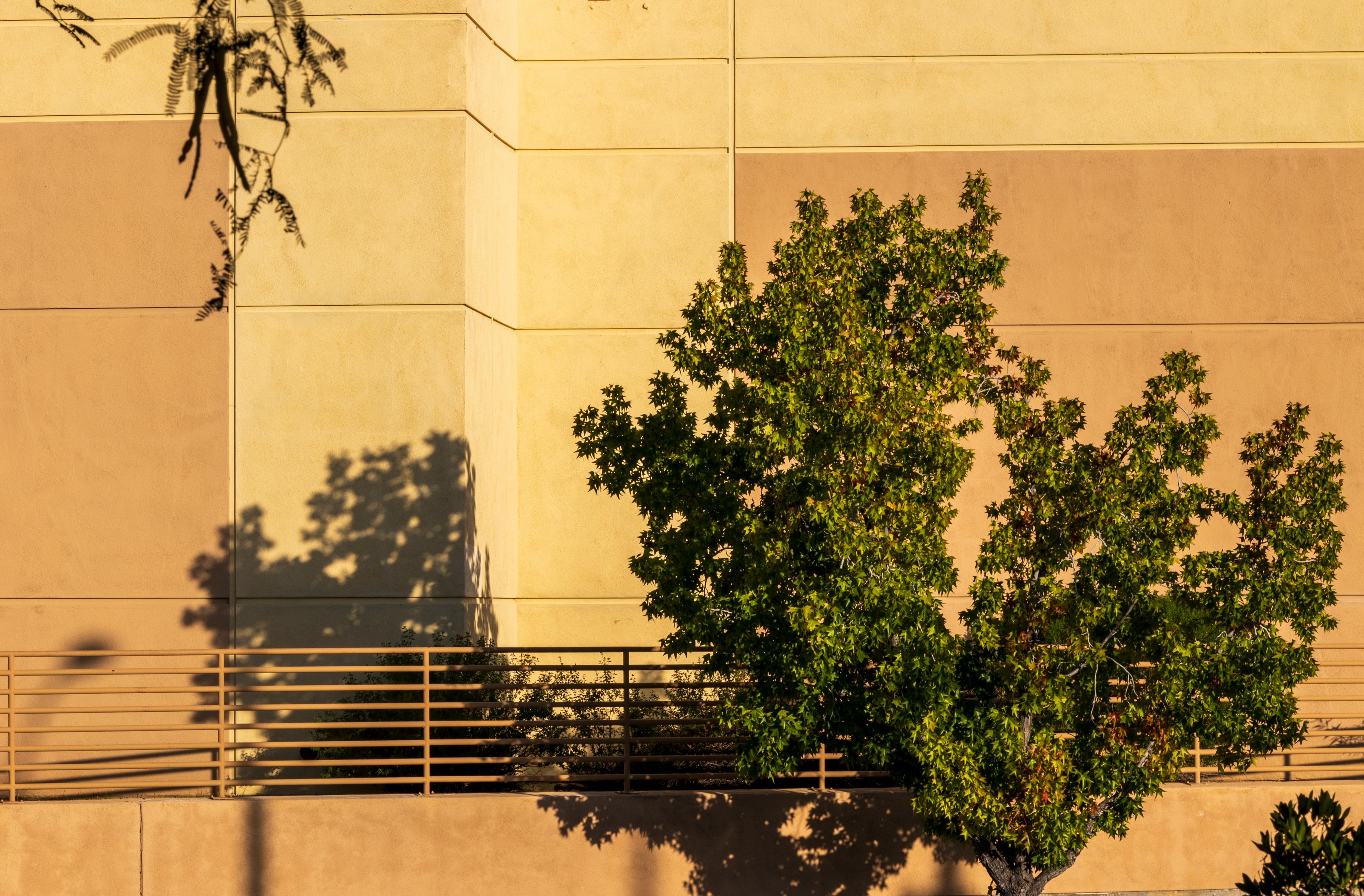 Shadow on Building Facade · Free Stock Photo