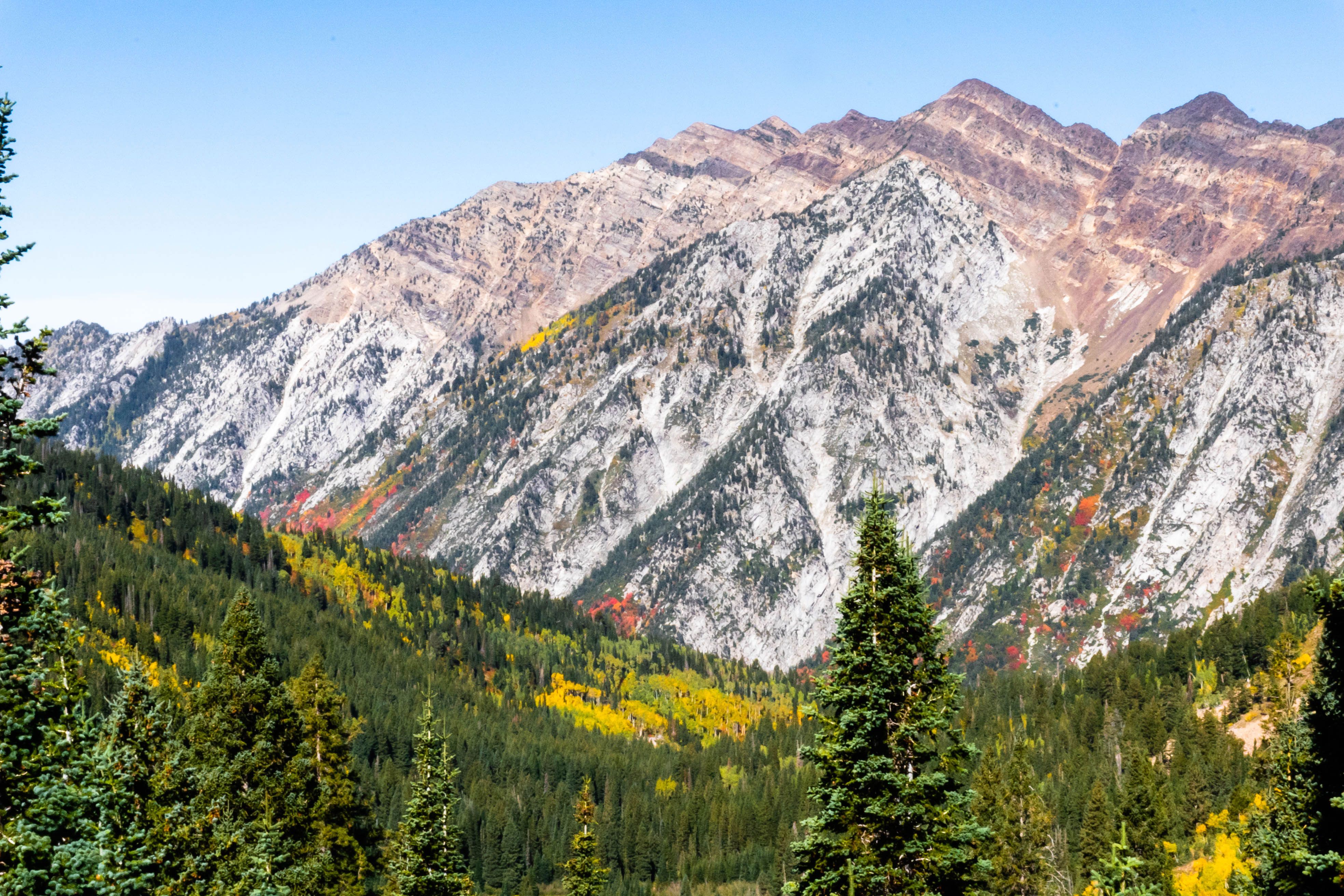 Desert Mountain View Pikes Peak Colorado USA · Free Stock Photo