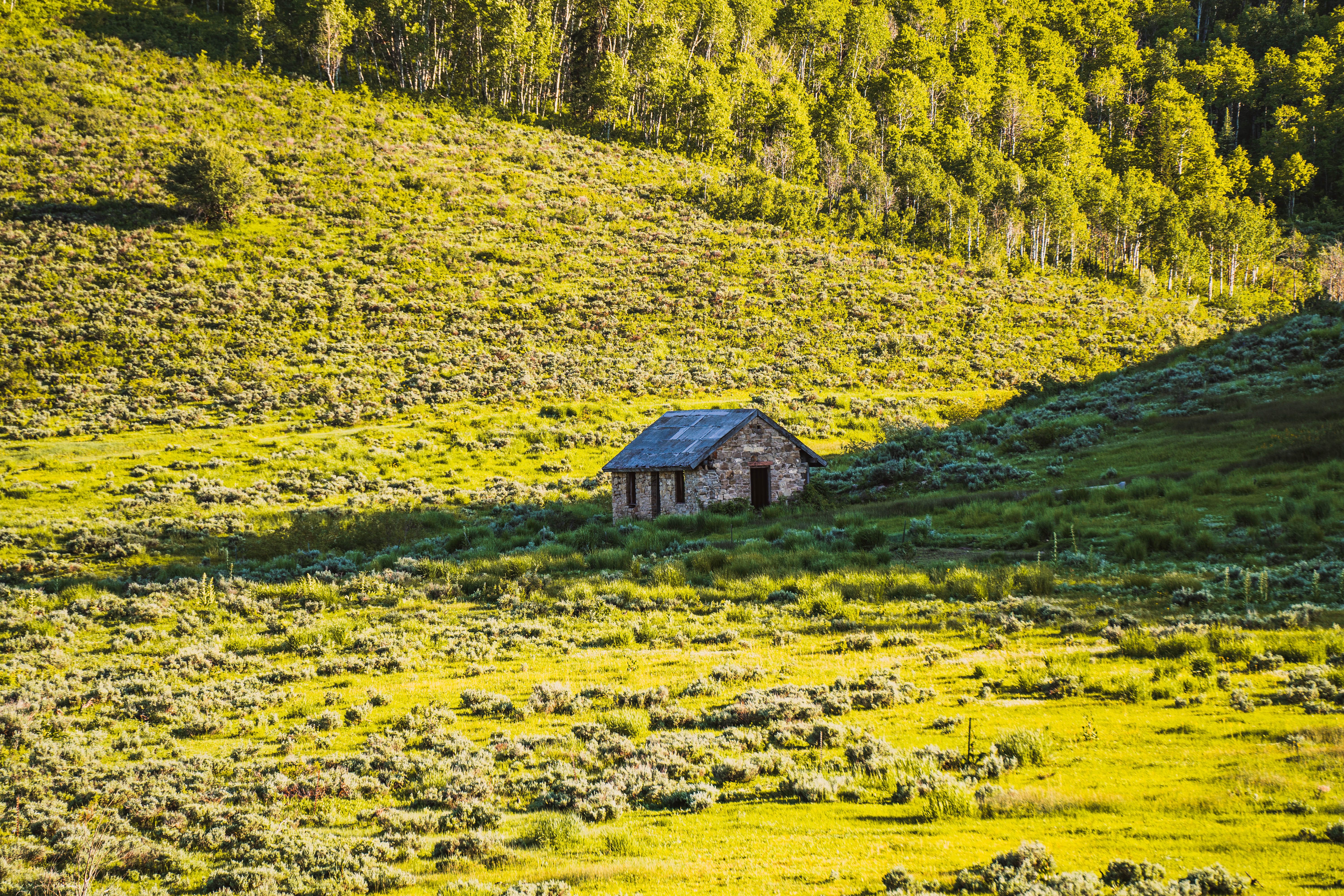 Foto de stock gratuita sobre abandonado, aislado, al aire libre ...