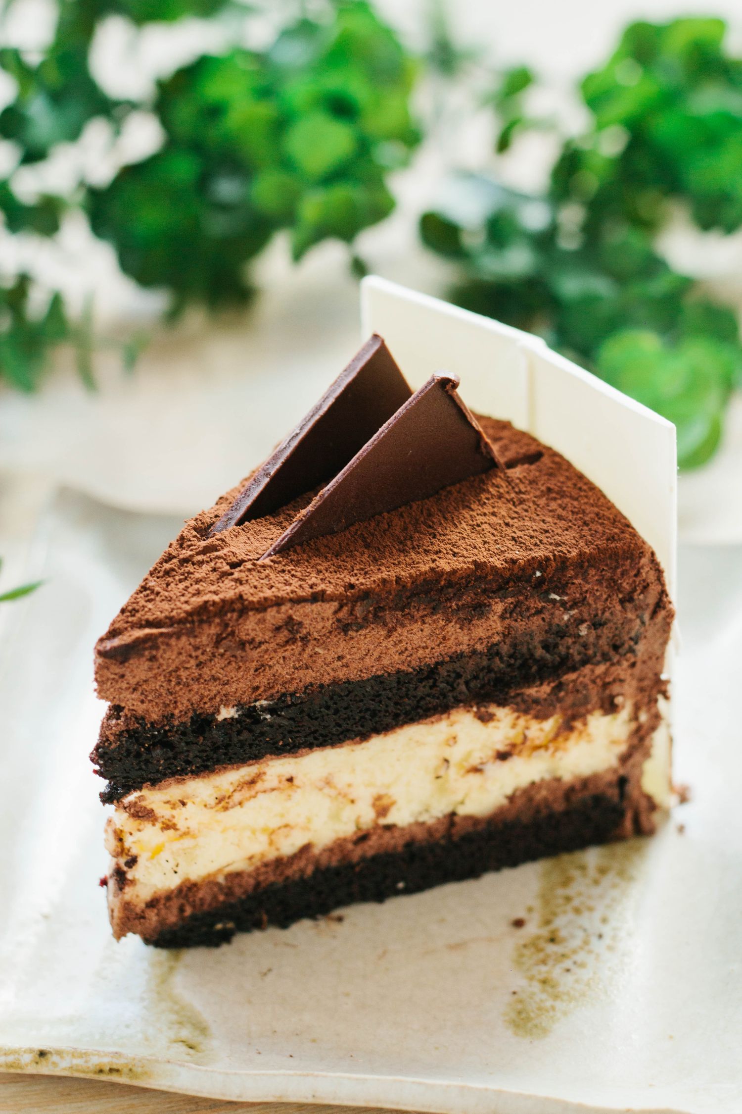 Slice Cake Free Stock Photo Slice Cake Free Stock Photo