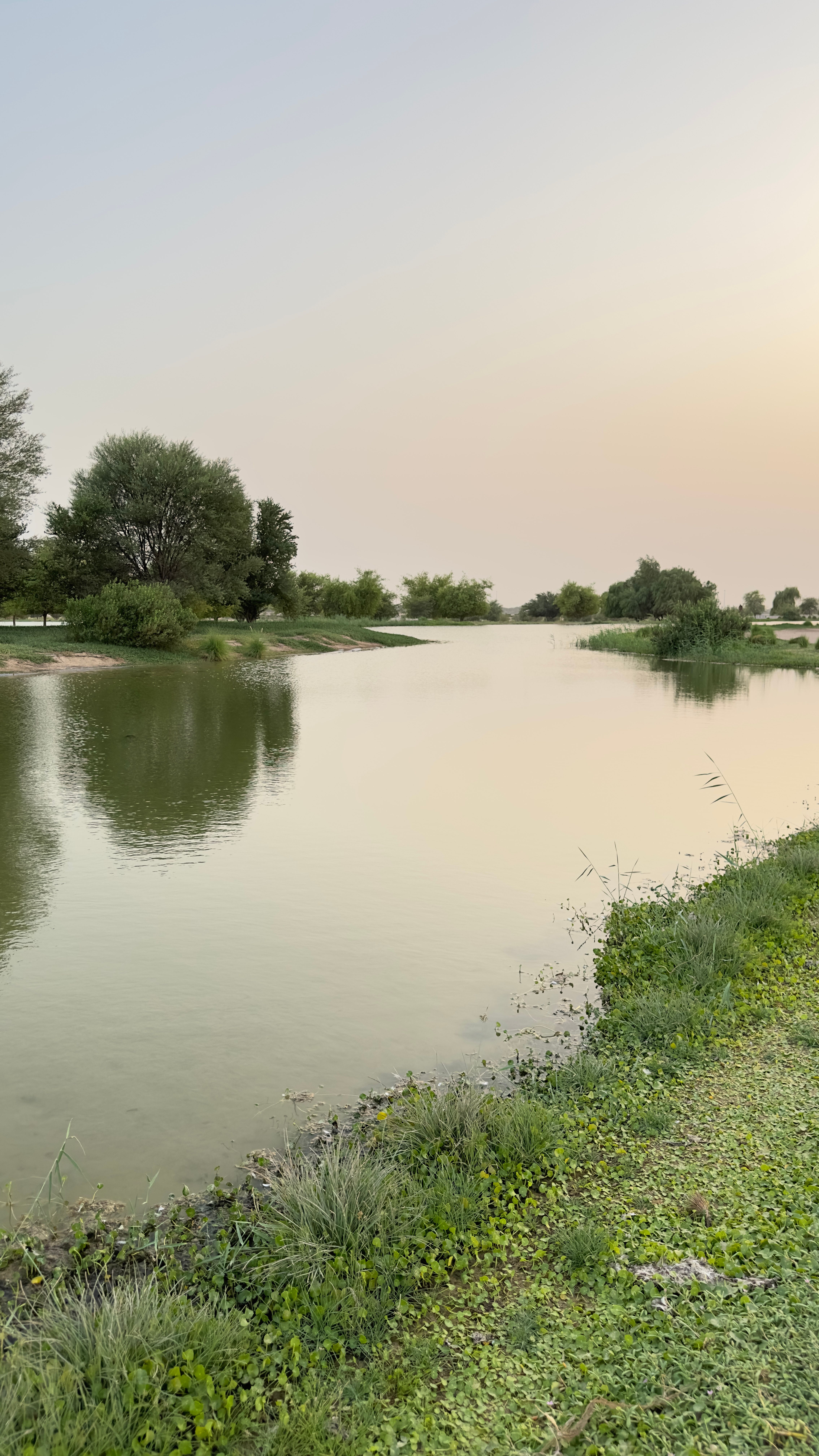 Placid River in the Countryside · Free Stock Photo