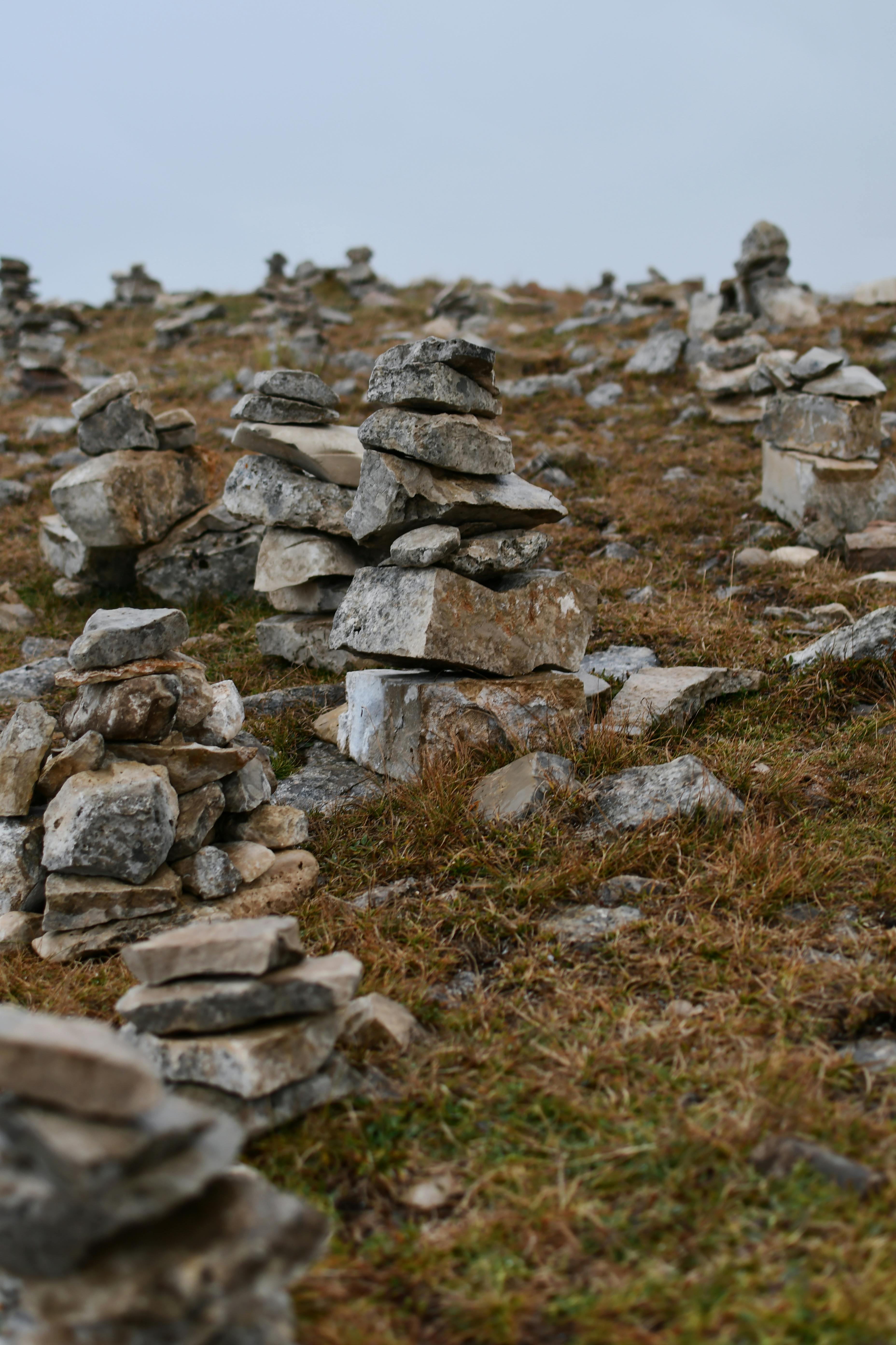 Crane Stones Photos, Download The BEST Free Crane Stones Stock Photos ...