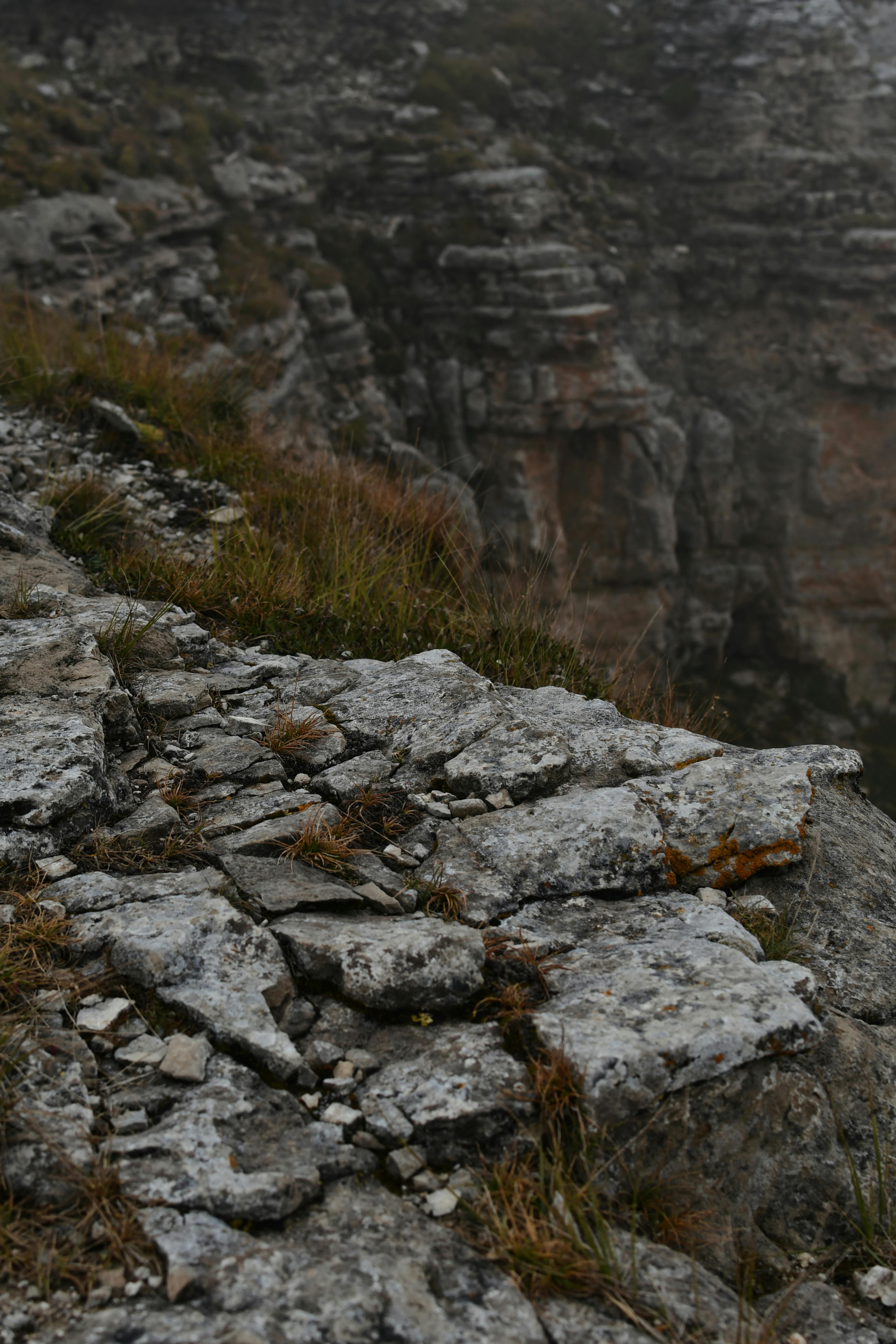 Grass on Rocks · Free Stock Photo