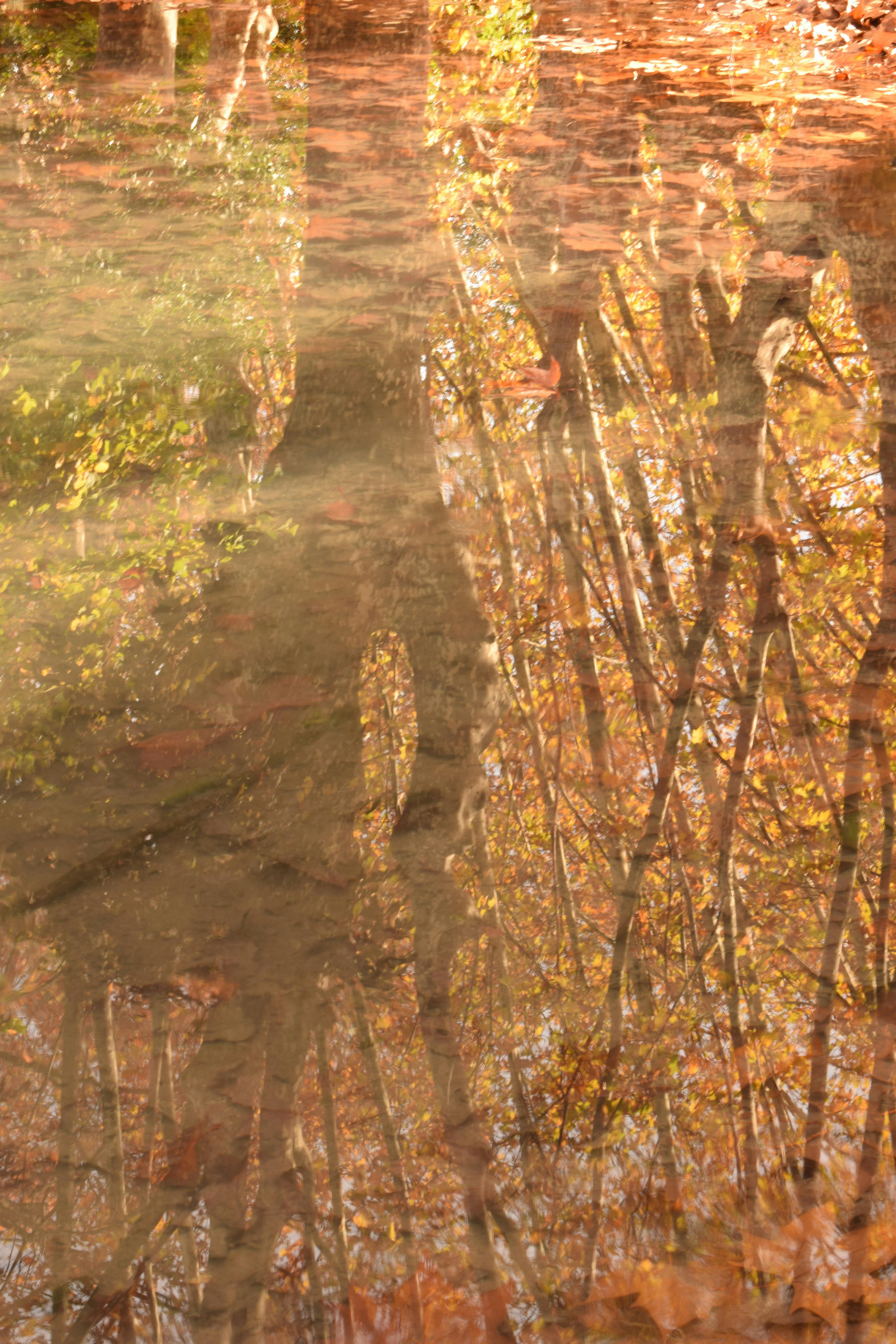 Isabelle Borg - 摄影