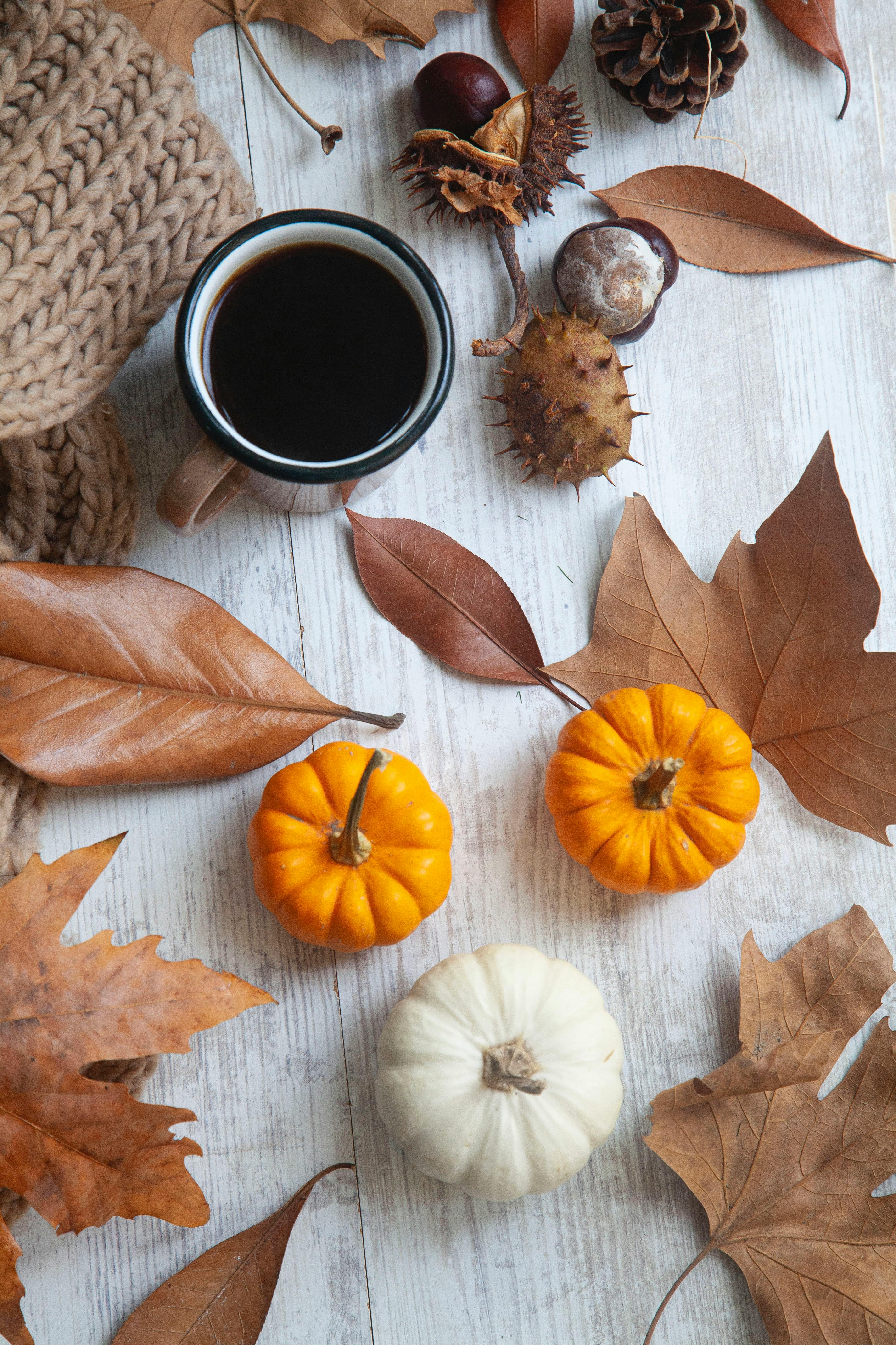 Coffee, Pumpkins and Autumn Leaves · Free Stock Photo