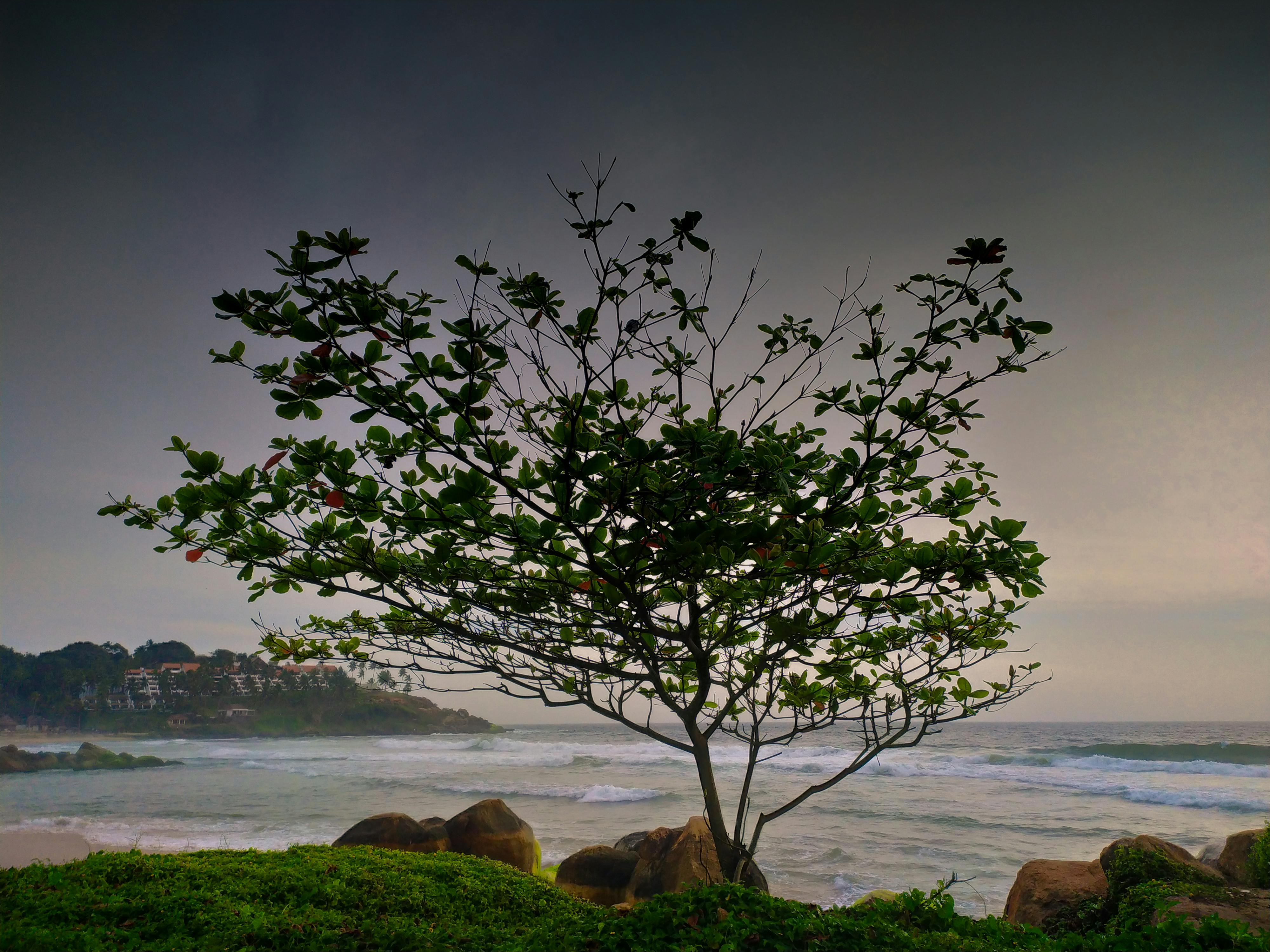 Thomas Mathew – fotografi