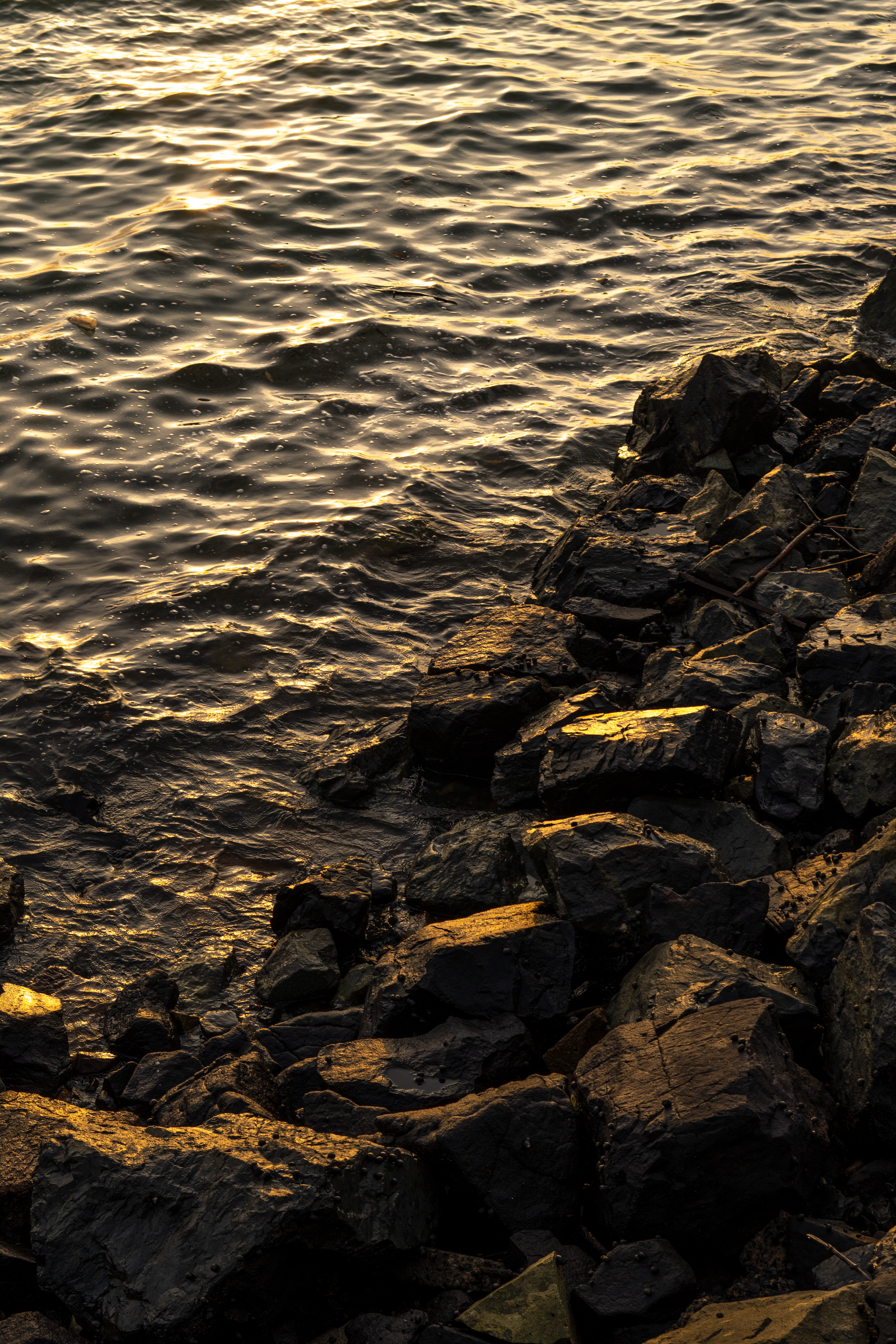 Wavy Water by Rocks at Sunset · Free Stock Photo