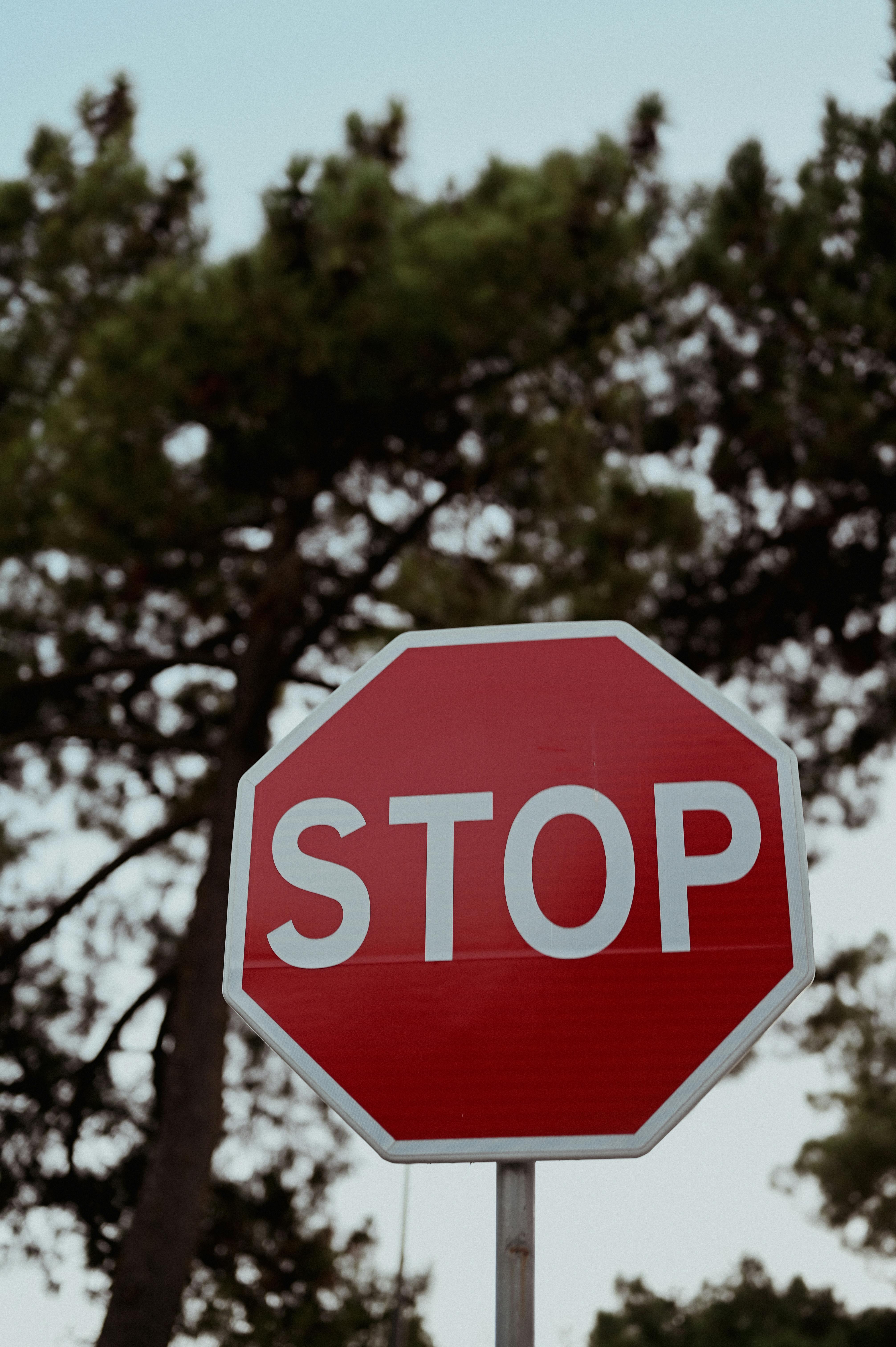 A stop sign with a tree in the background · Free Stock Photo