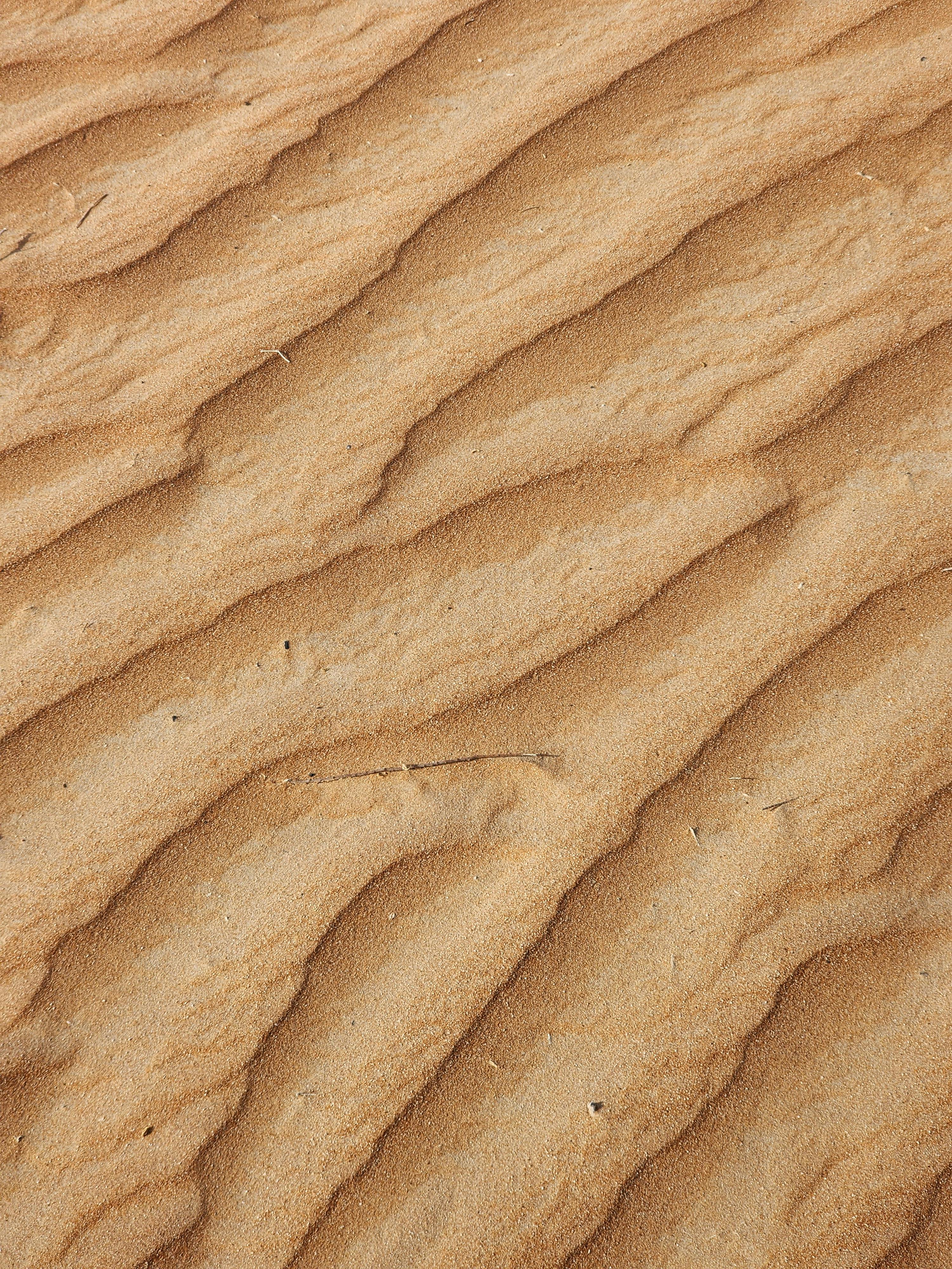 Close up of Cracks on Dry Sand · Free Stock Photo