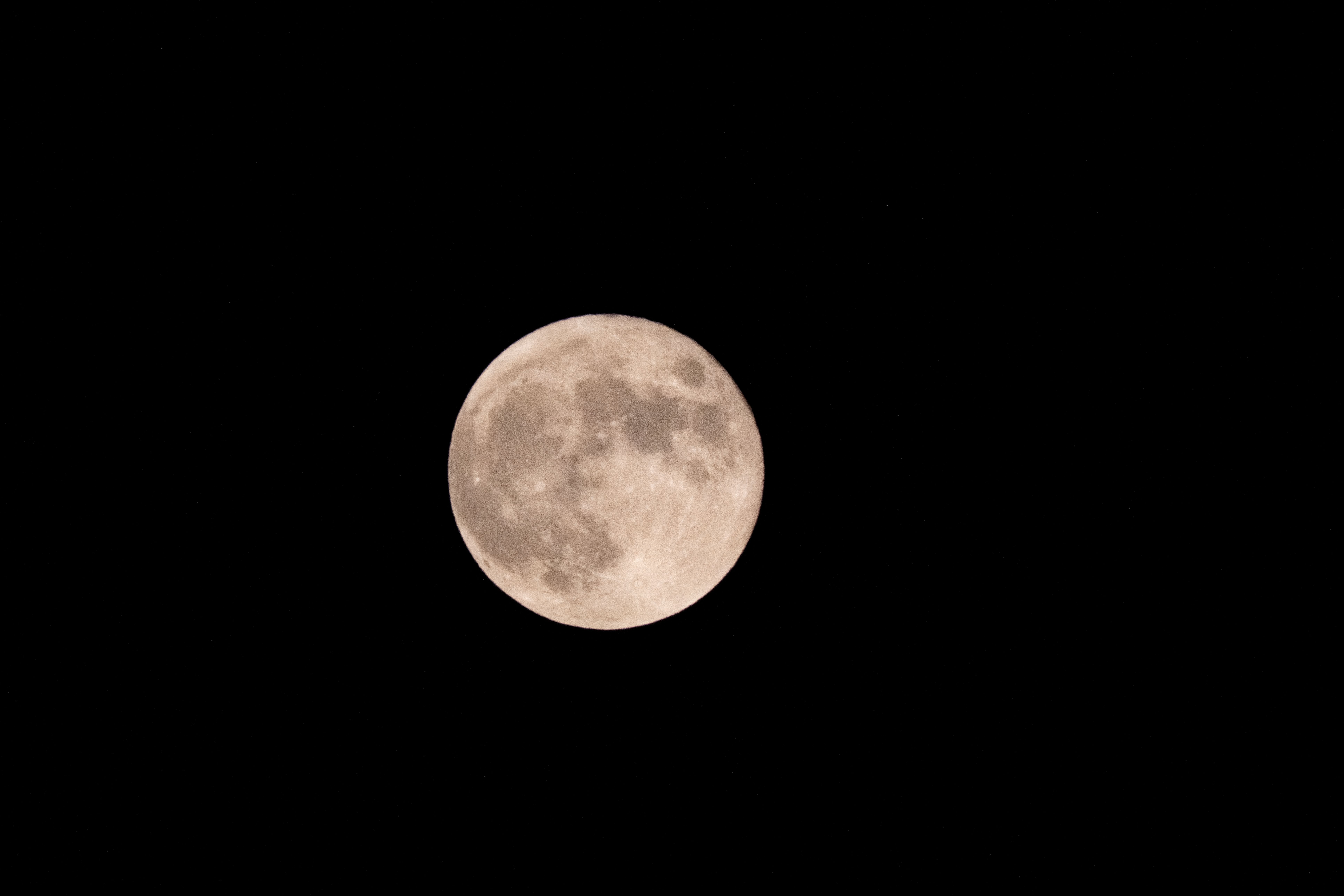 Fool Moon against the Black Sky · Free Stock Photo