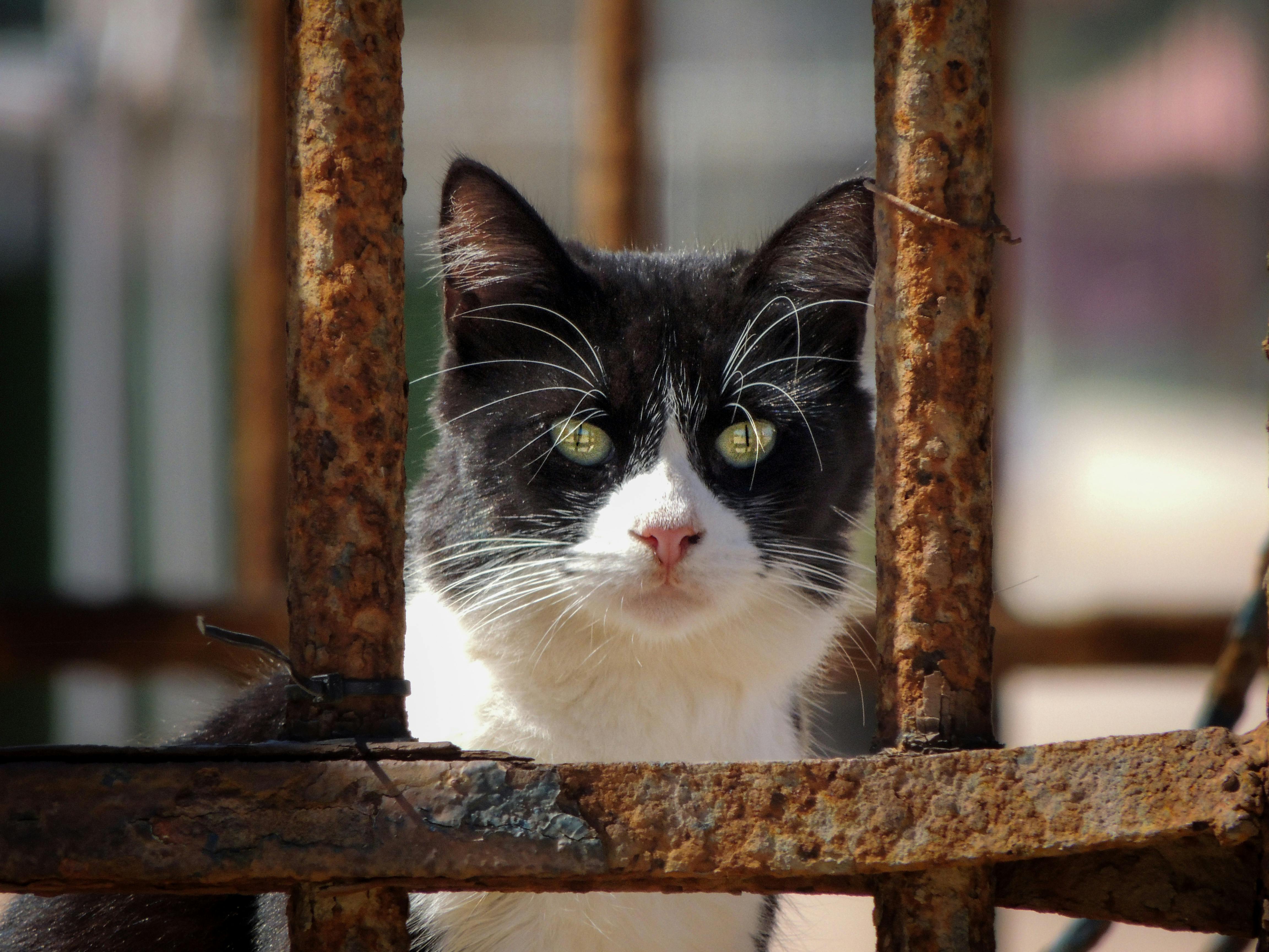 Fart Photos, Download The BEST Free Fart Stock Photos & HD Images