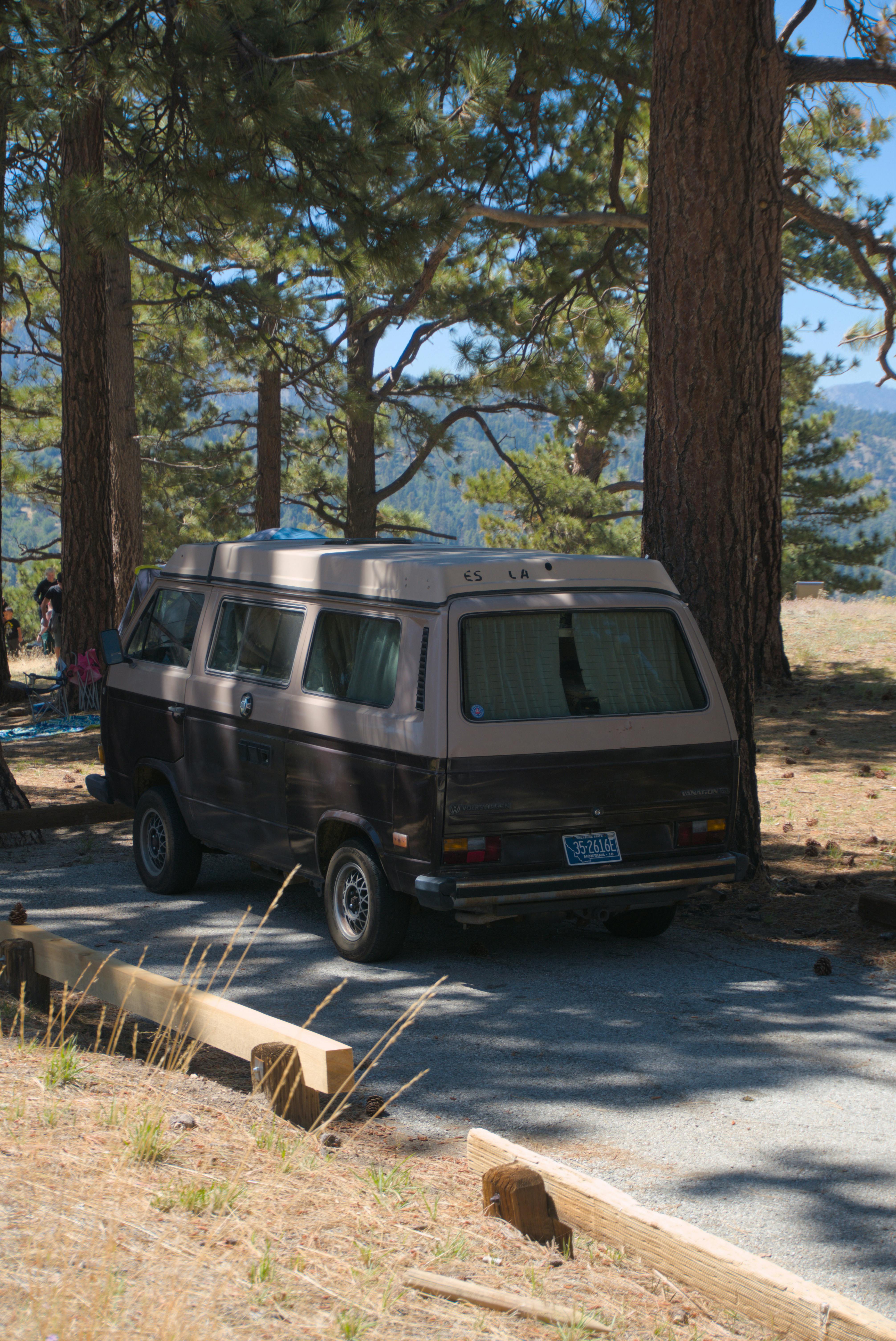 Camper Van on a Road Among Trees · Free Stock Photo