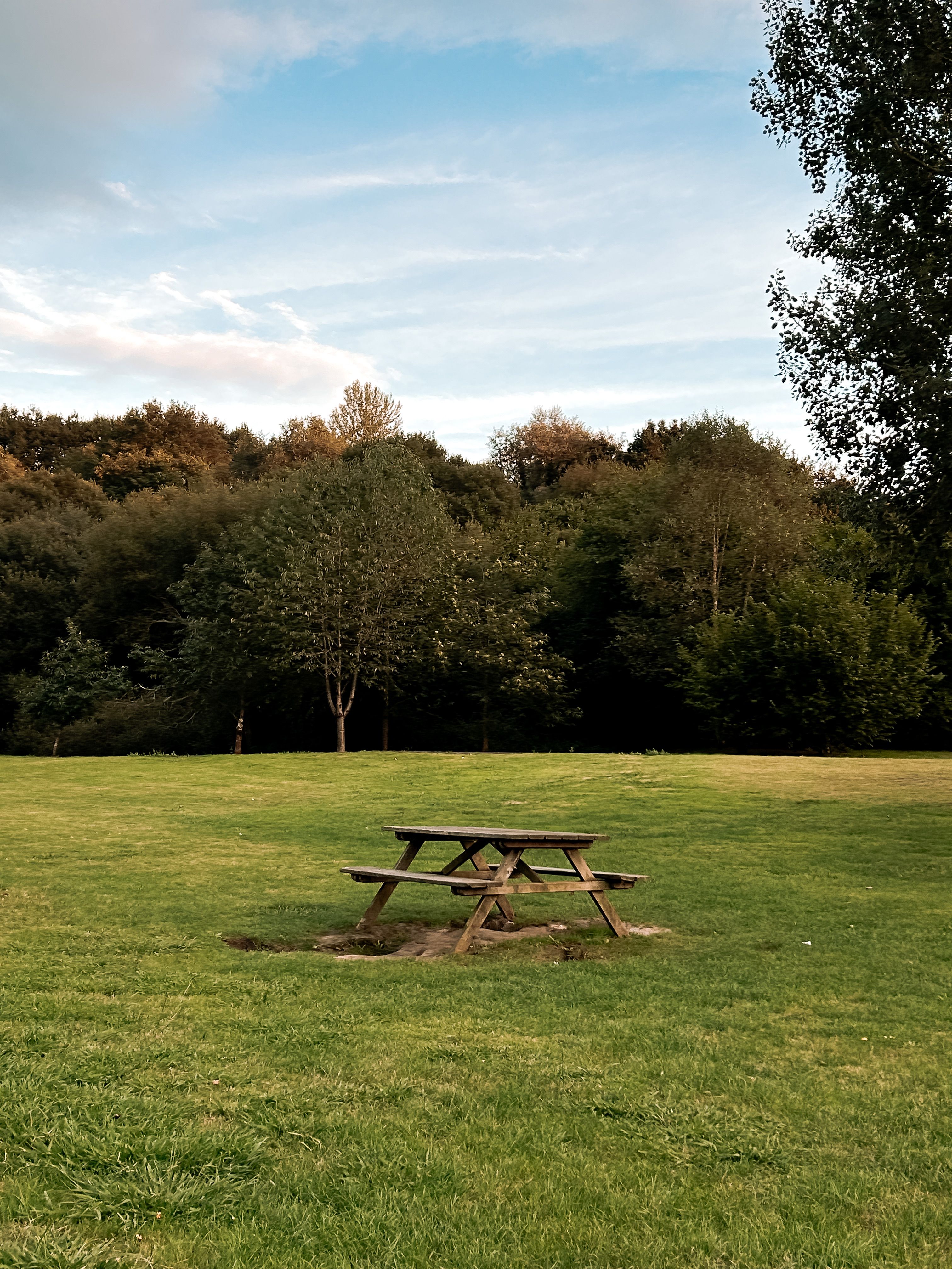 A picnic table in a grassy field with trees · Free Stock Photo