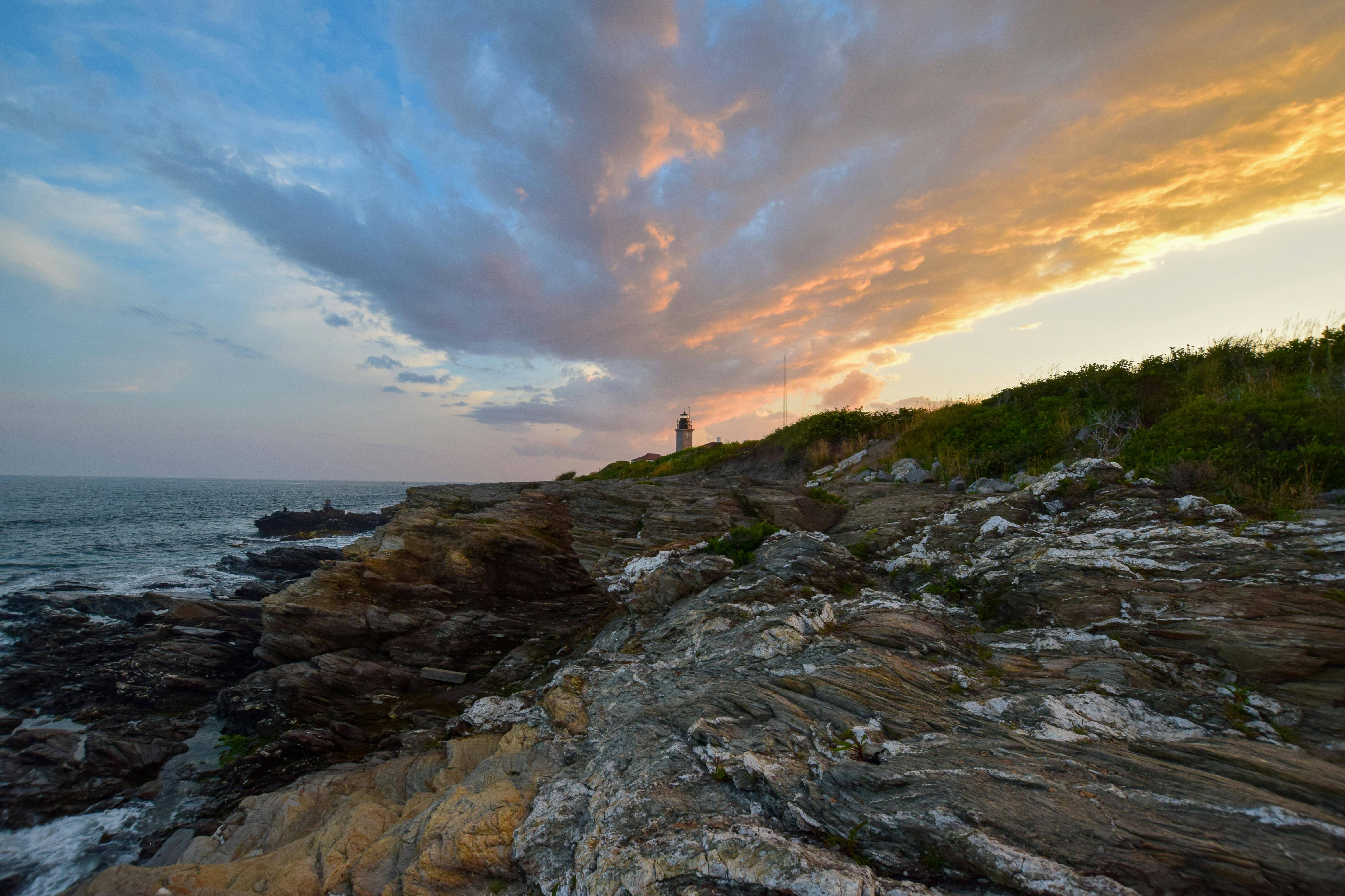 Beth Fitzpatrick - 摄影