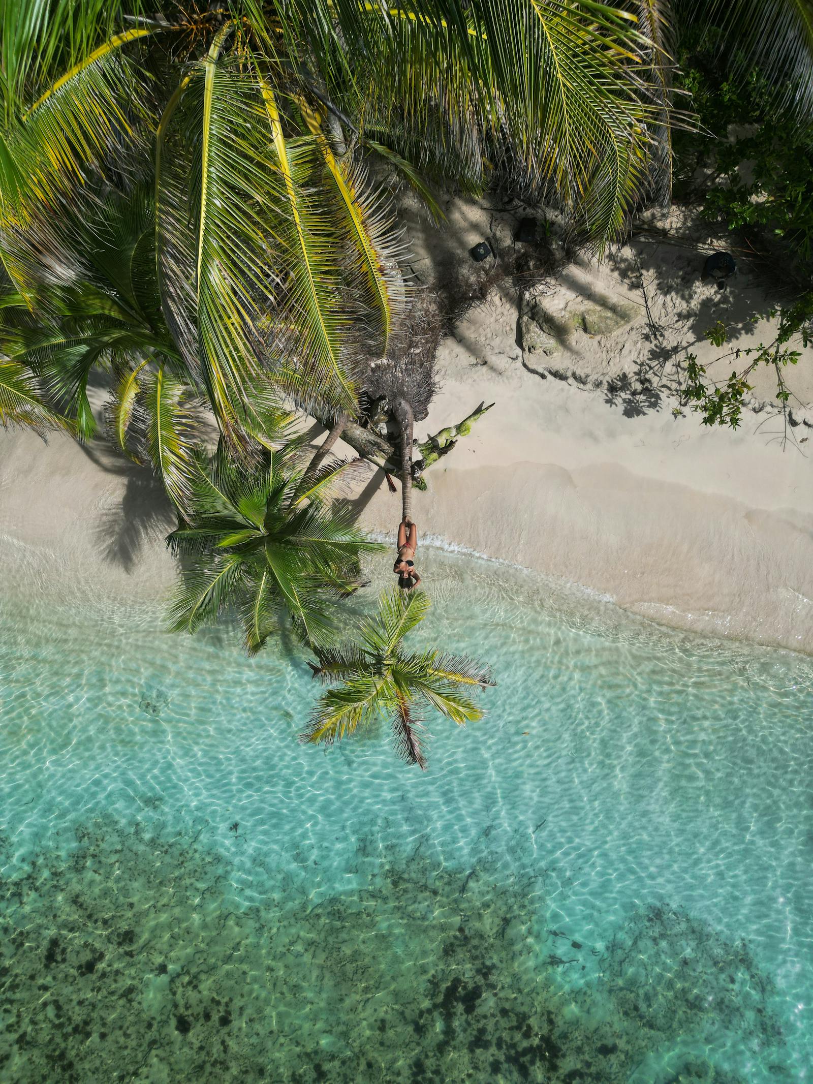 Pin Beach Photos, Download The BEST Free Pin Beach Stock Photos & HD Images